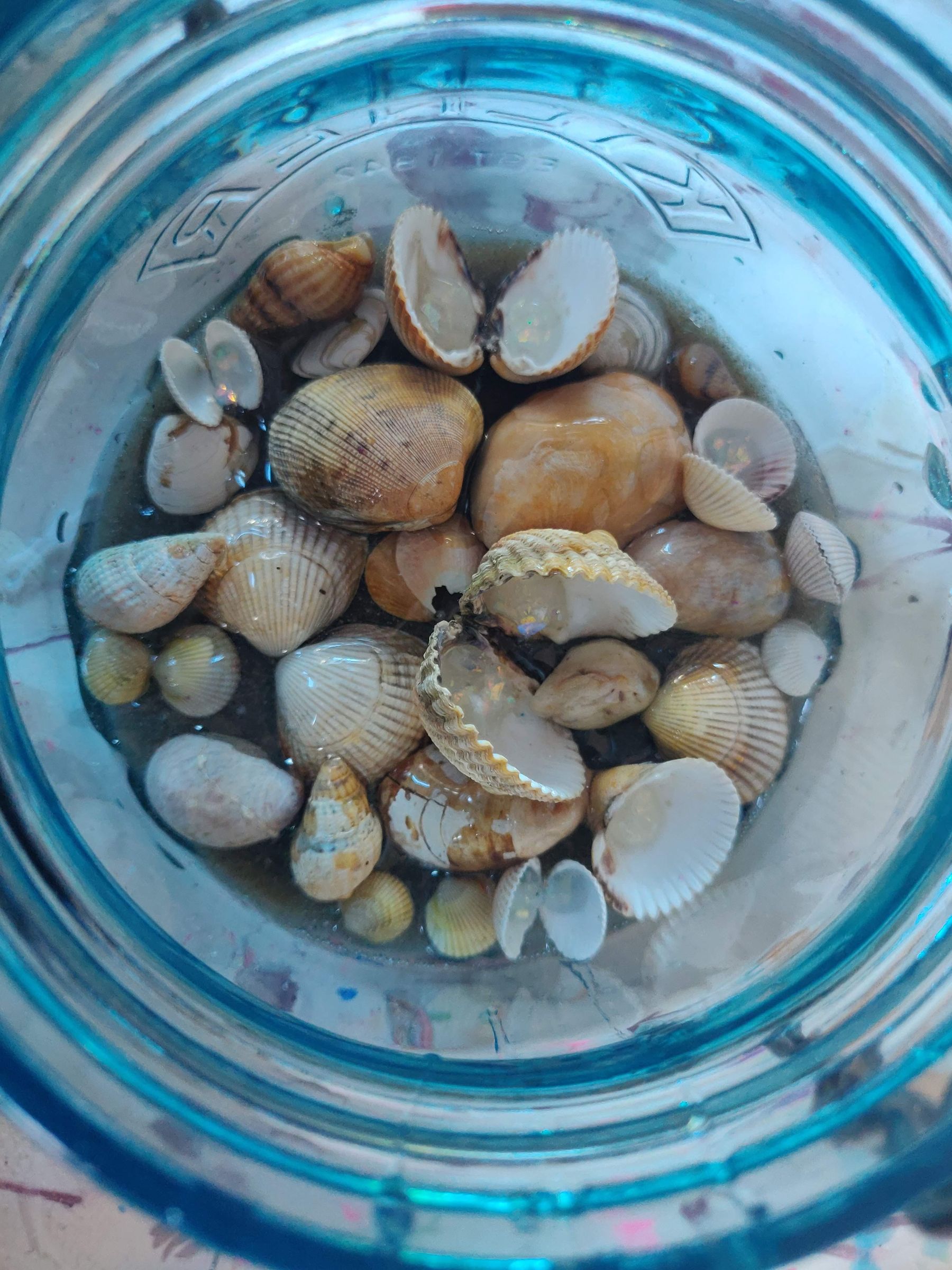 Saving a Day at the Beach in a Jar : 8 Steps (with Pictures ...