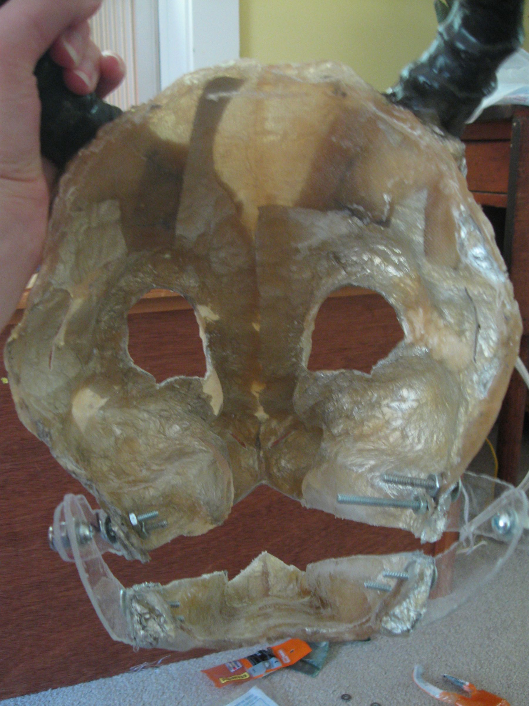Making a Cat(?) Mask With Fiberglass : 18 Steps (with Pictures ...