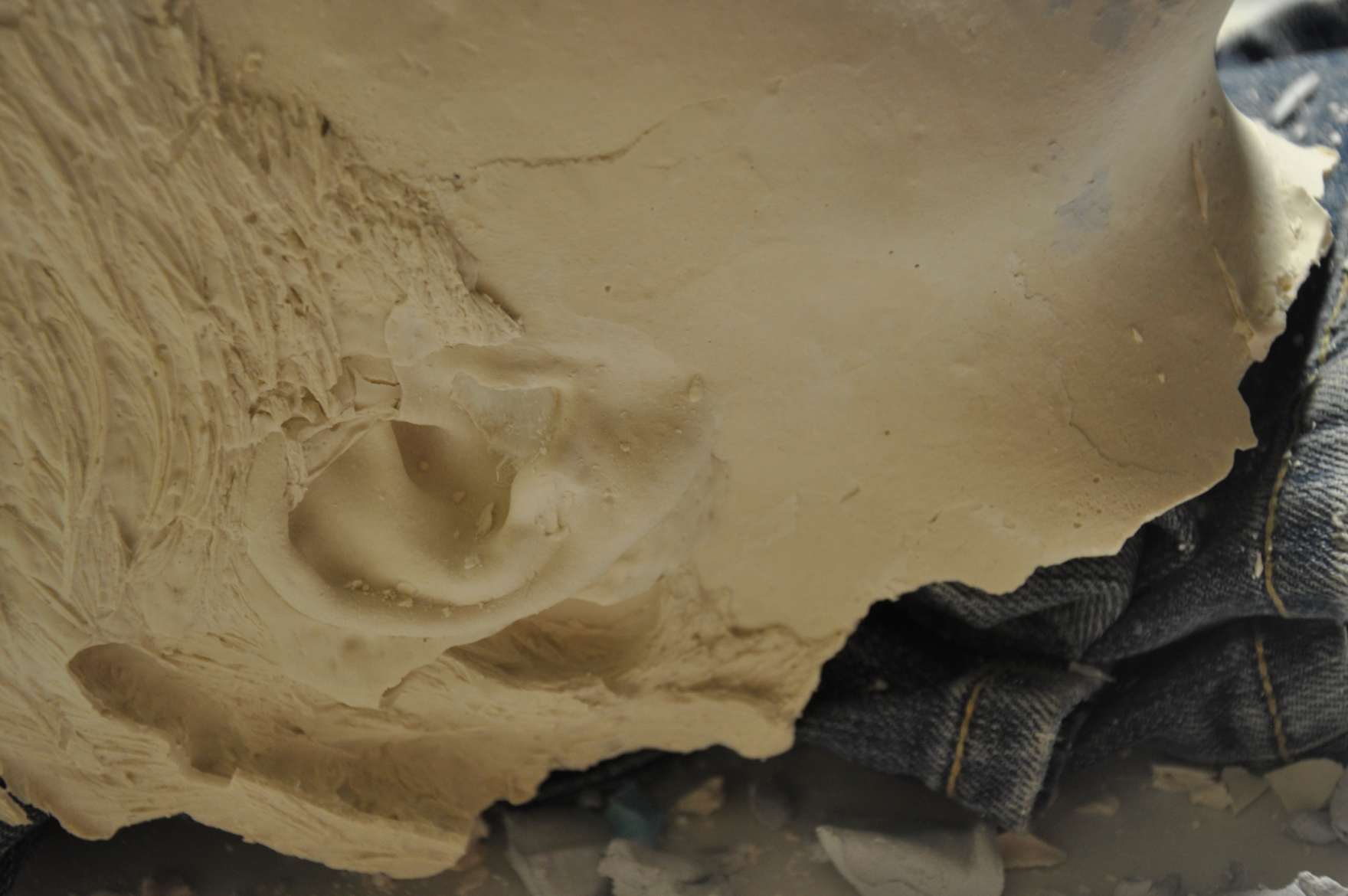 Alginate Mold - Face : 6 Steps (with Pictures) - Instructables