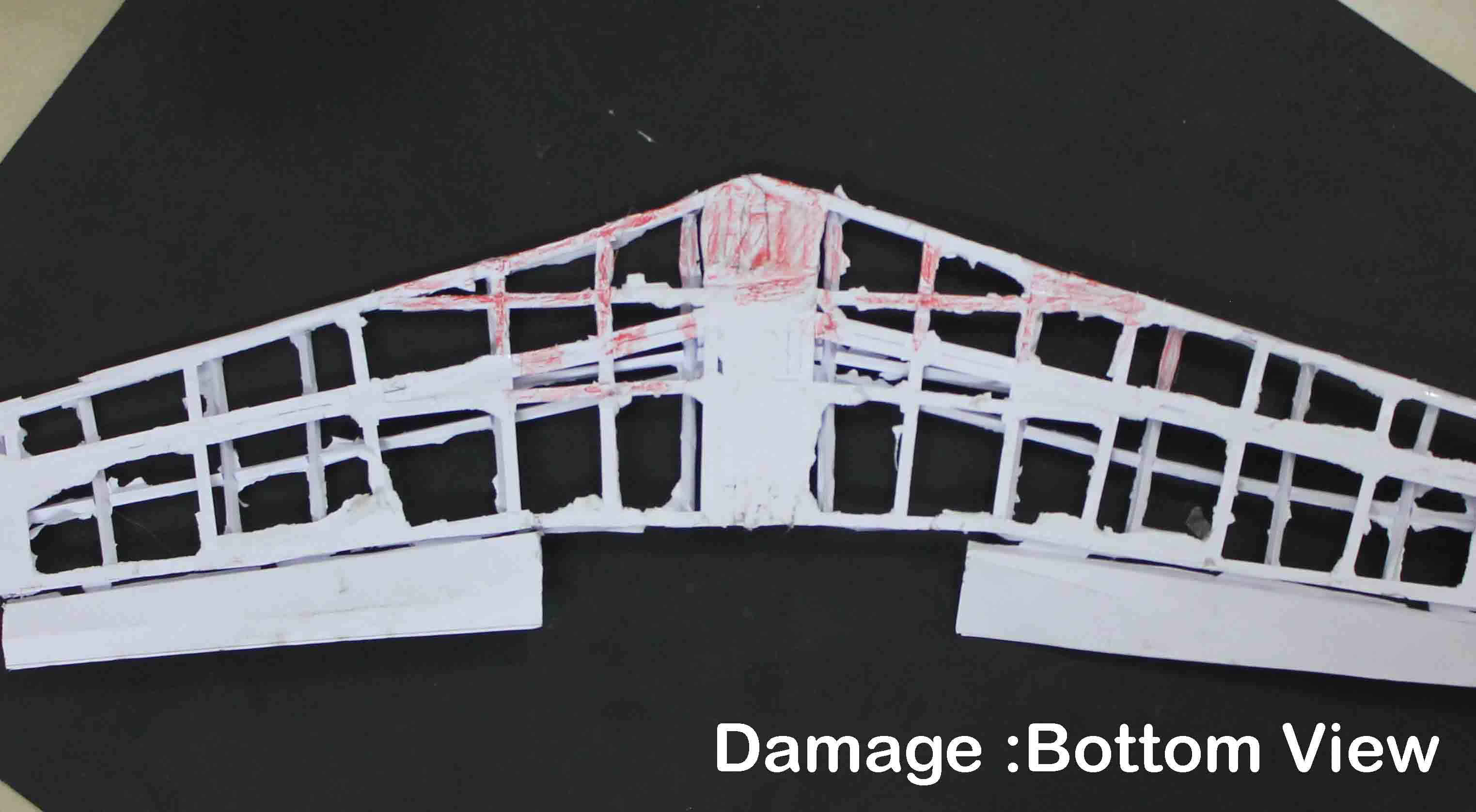 Completely Paper Made RC Airplane : 11 Steps - Instructables