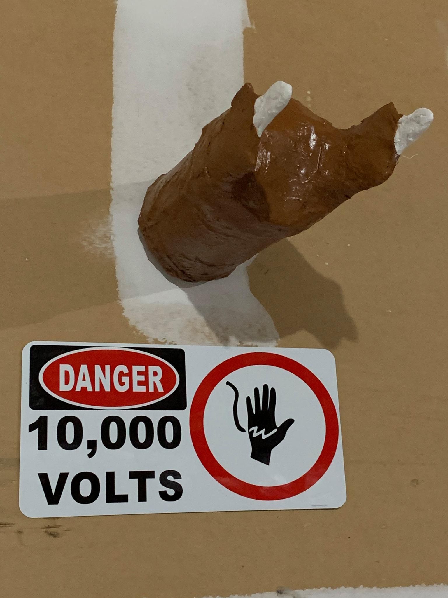 How to Make a Life Size T Rex Hand Wall Mount : 19 Steps - Instructables