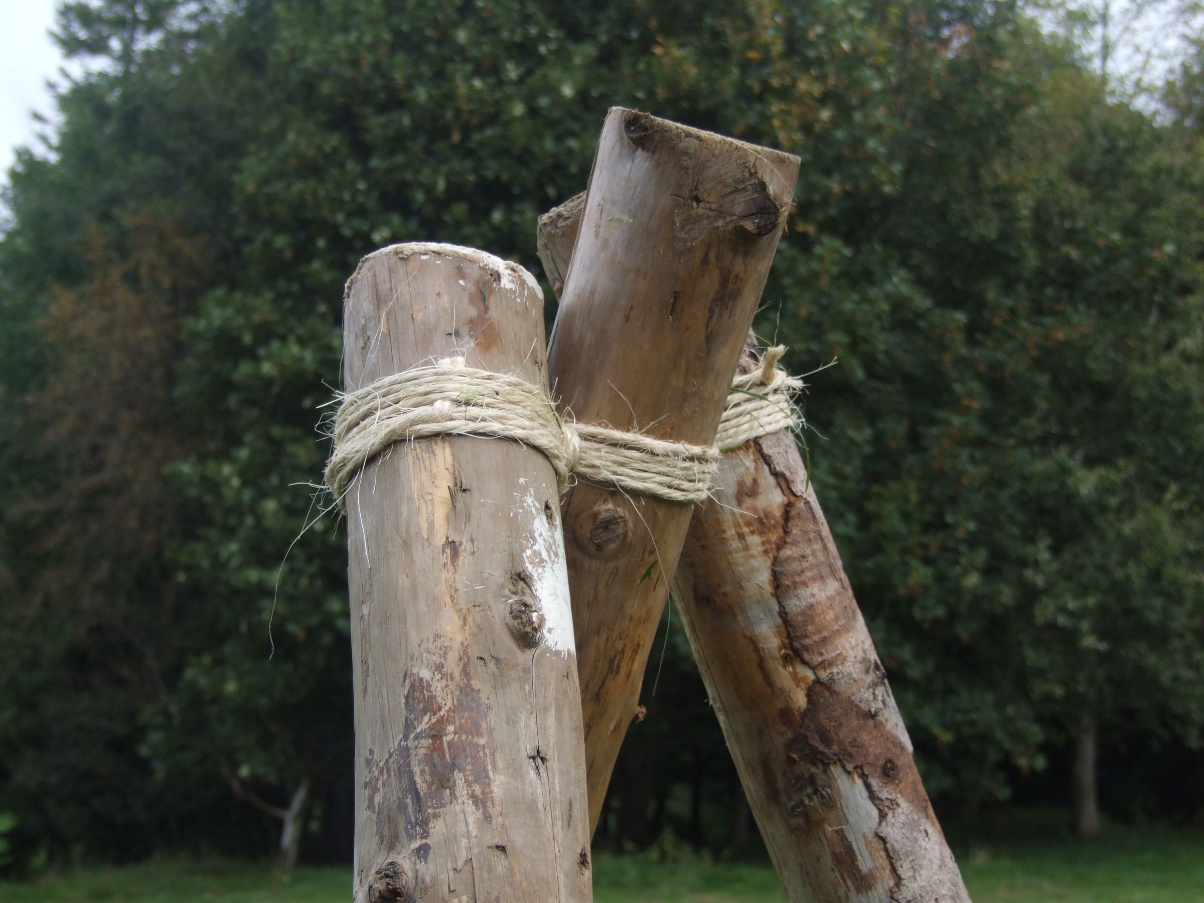 Figure of 8 Lashing (Tripod Lashing) : 6 Steps - Instructables