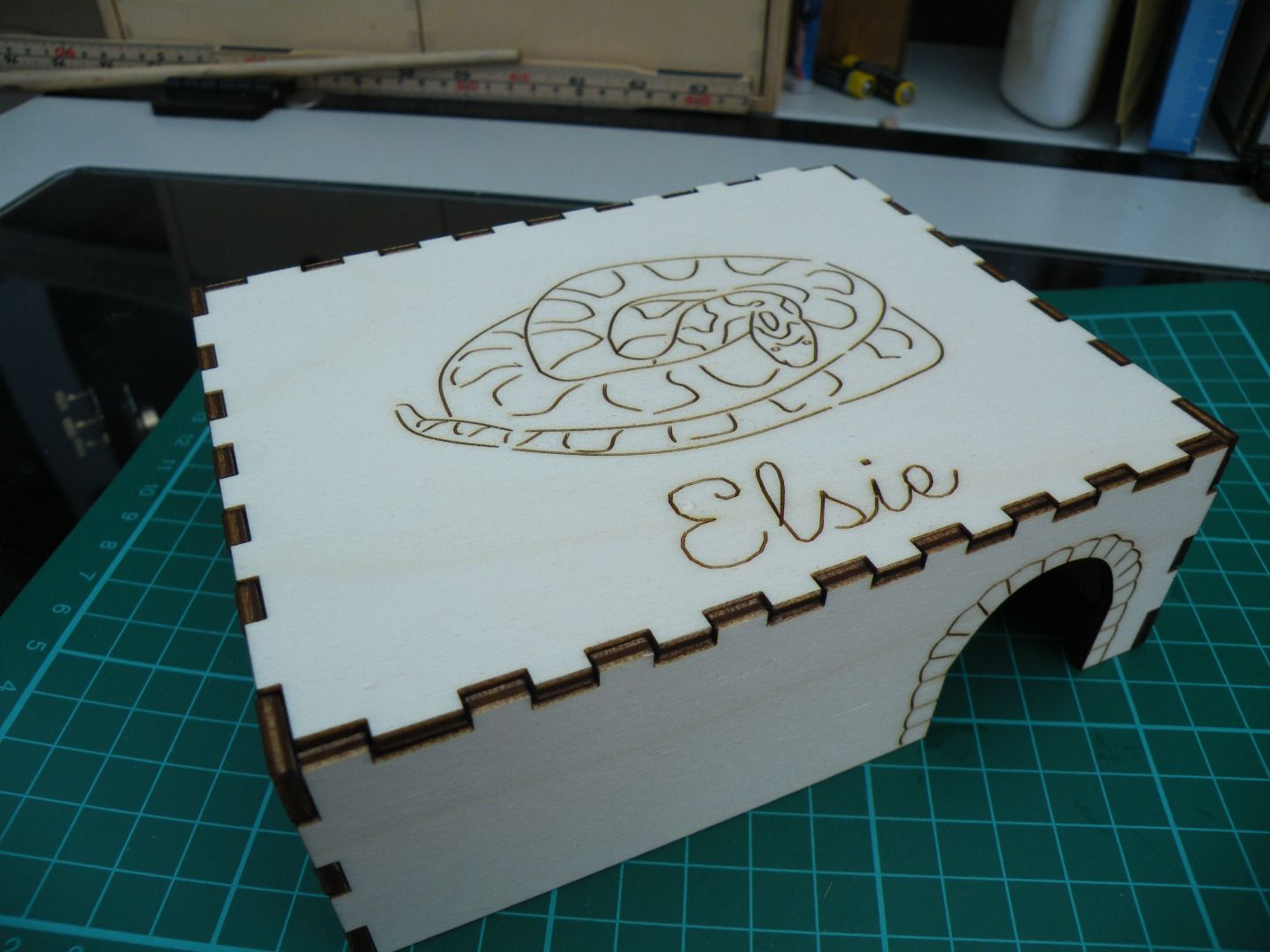 Simple Snake Home : 5 Steps (with Pictures) - Instructables