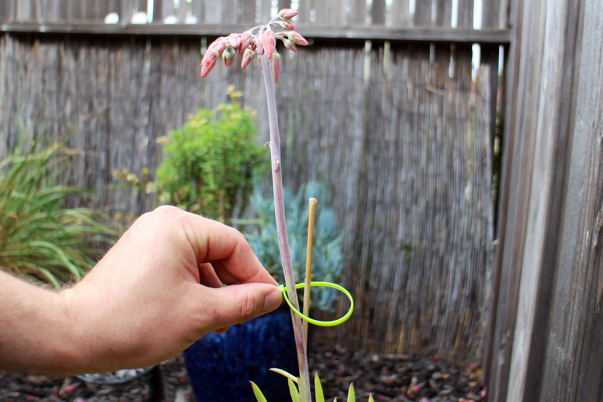 Unusual Uses for Zip Ties : 12 Steps (with Pictures) - Instructables