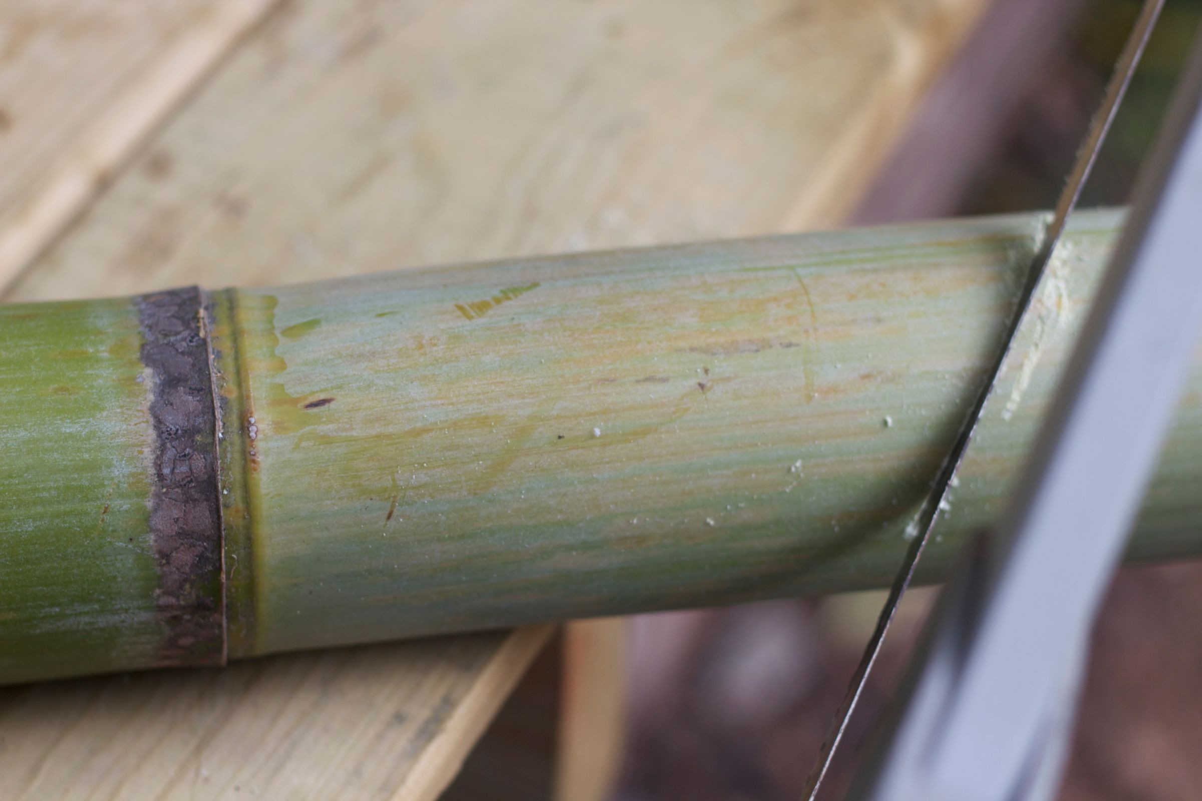 Clean, Chic Bamboo Cups : 6 Steps (with Pictures) - Instructables