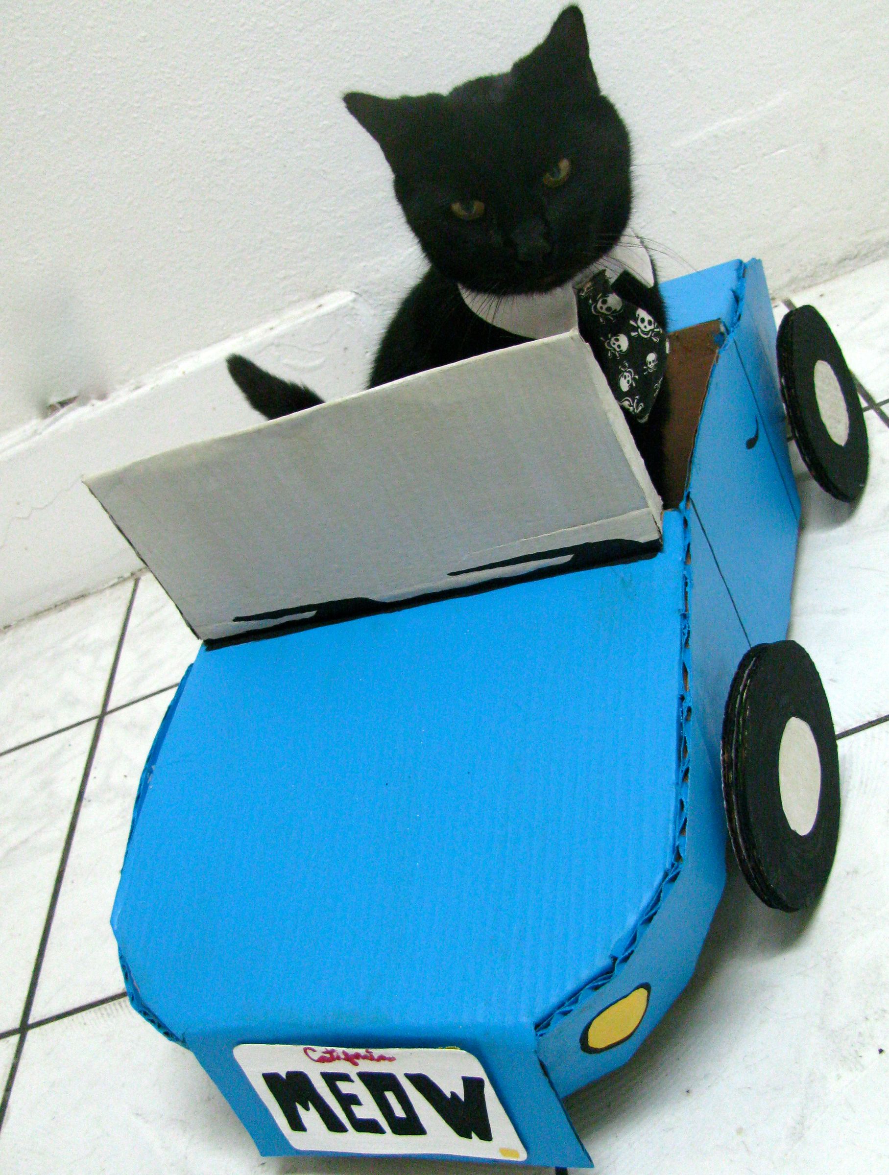 Cardboard Kitty Convertible : 9 Steps (with Pictures) - Instructables