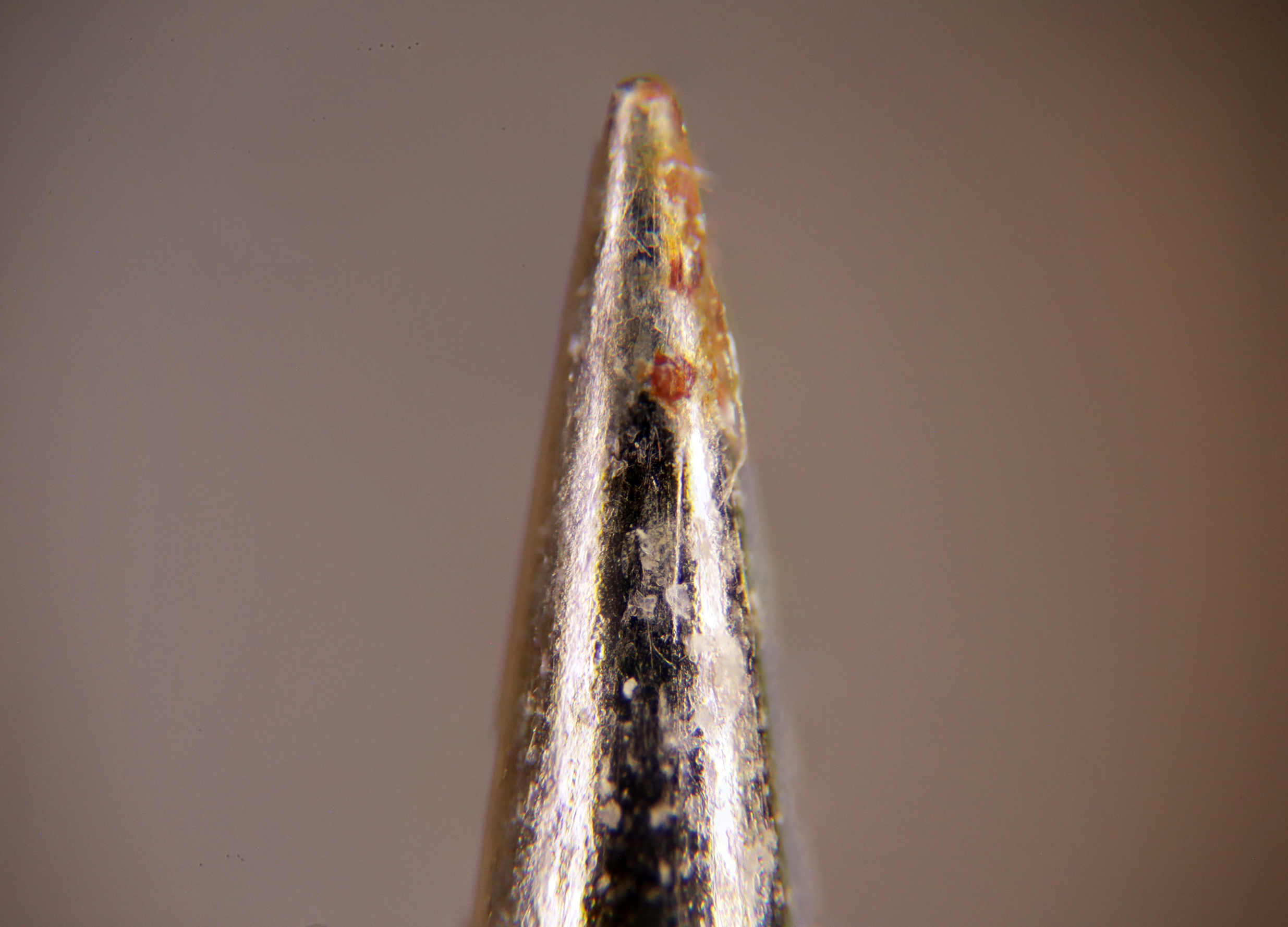 DSLR Microphotography : 12 Steps (with Pictures) - Instructables