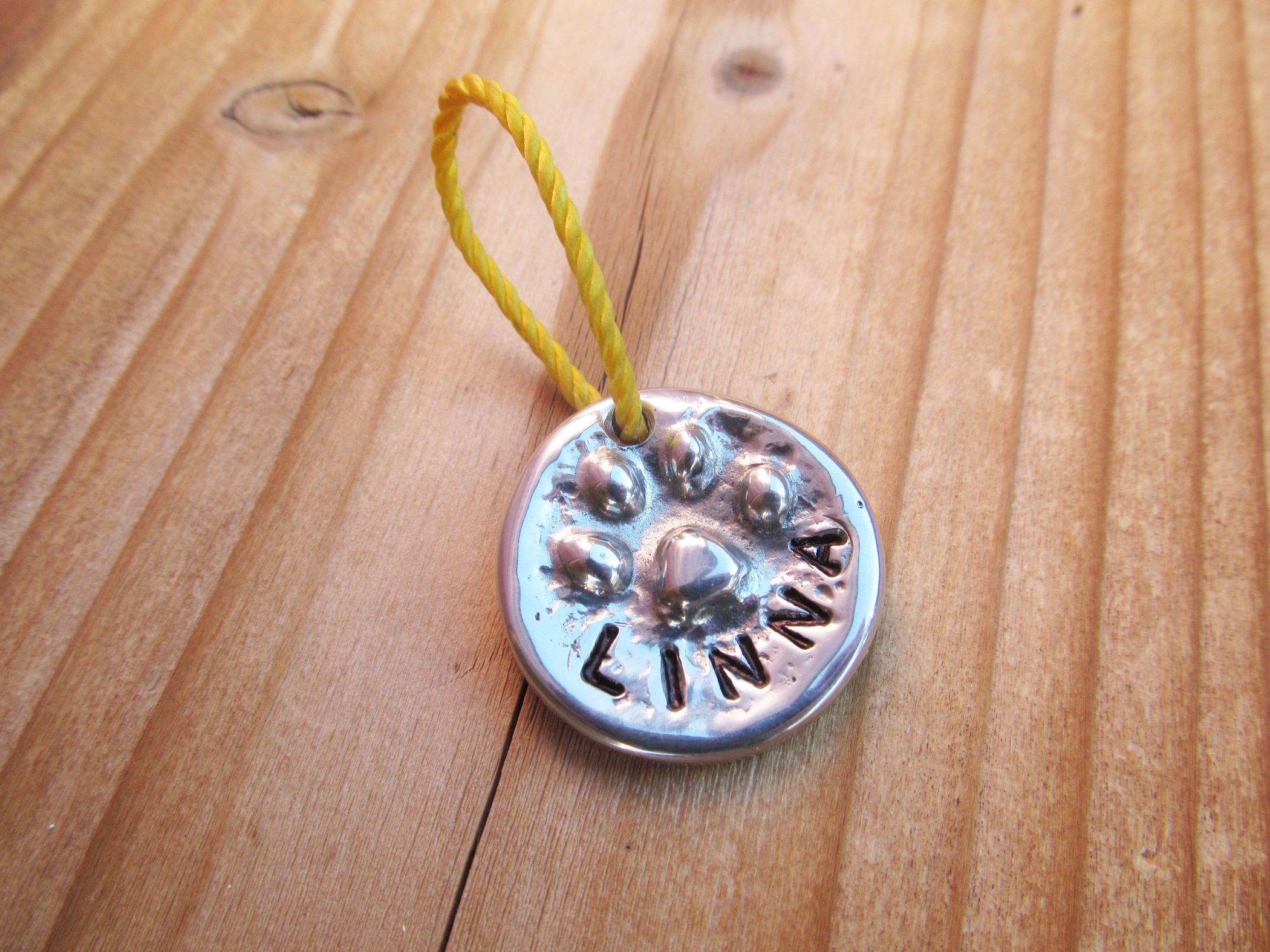 Paw Tag : 4 Steps (with Pictures) - Instructables