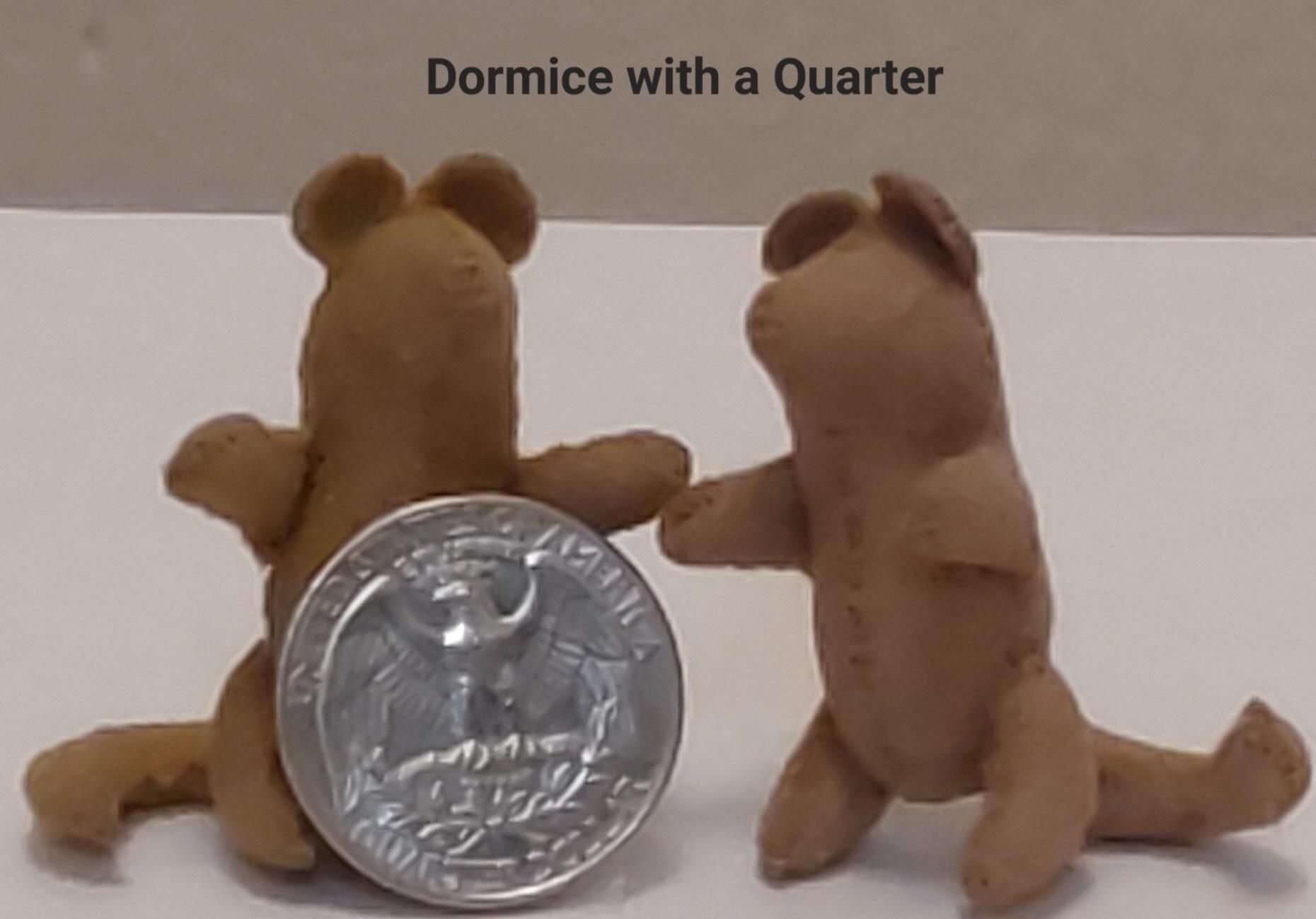 Crayon Dyed Miniature Dormice and Beds : 10 Steps (with Pictures ...