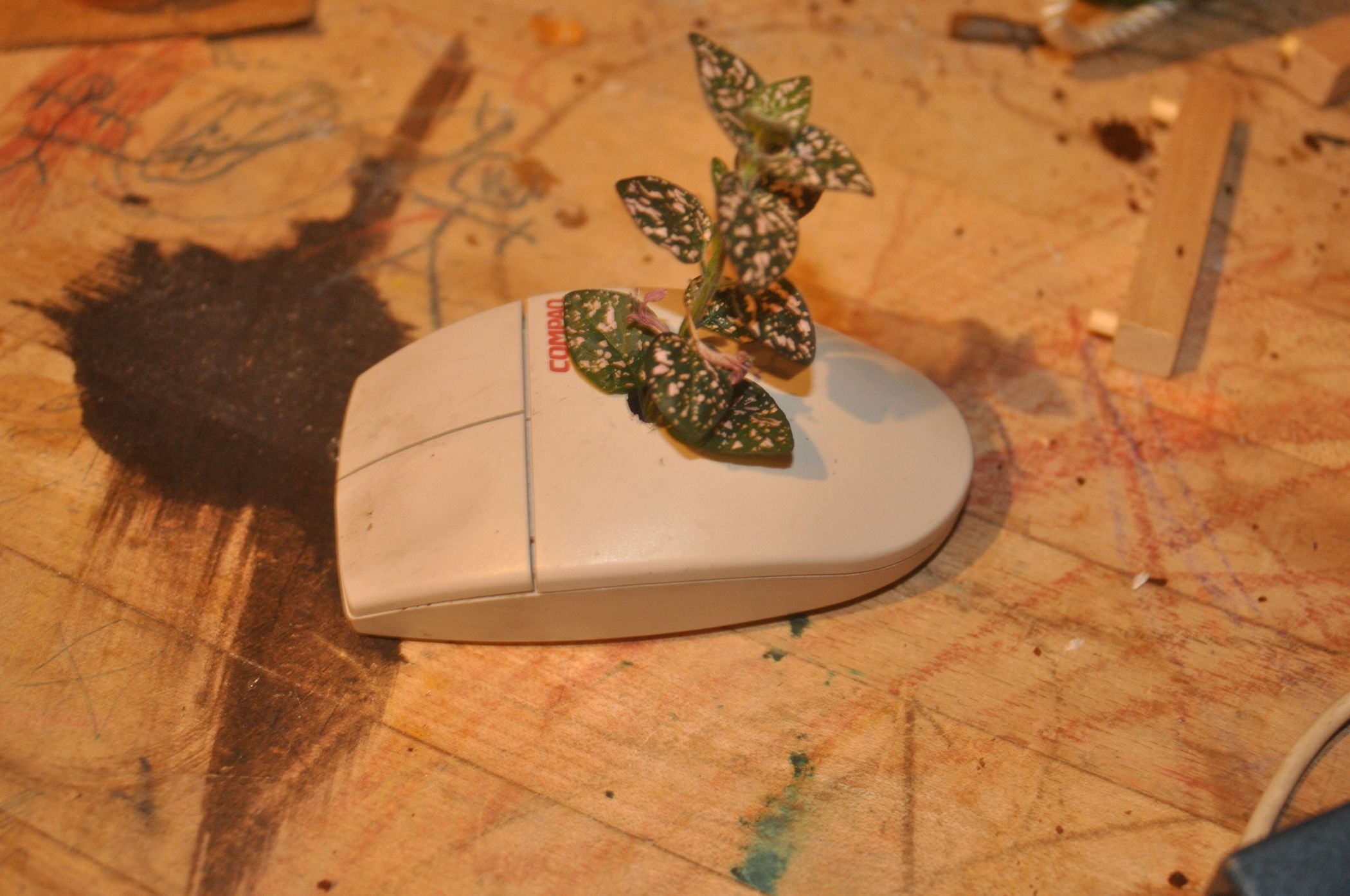 Mouse Planter : 6 Steps - Instructables