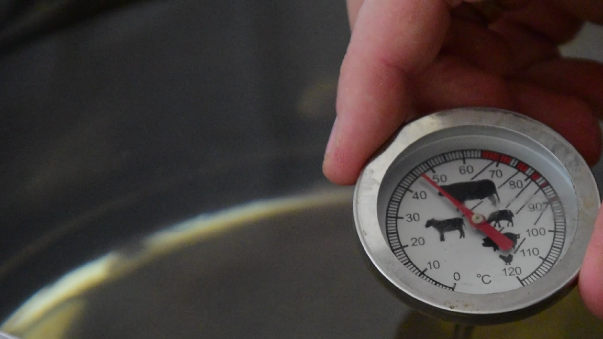 Homemade Dark Lager Beer - Easy and Tasty (no Special Tools Needed) : 5 ...