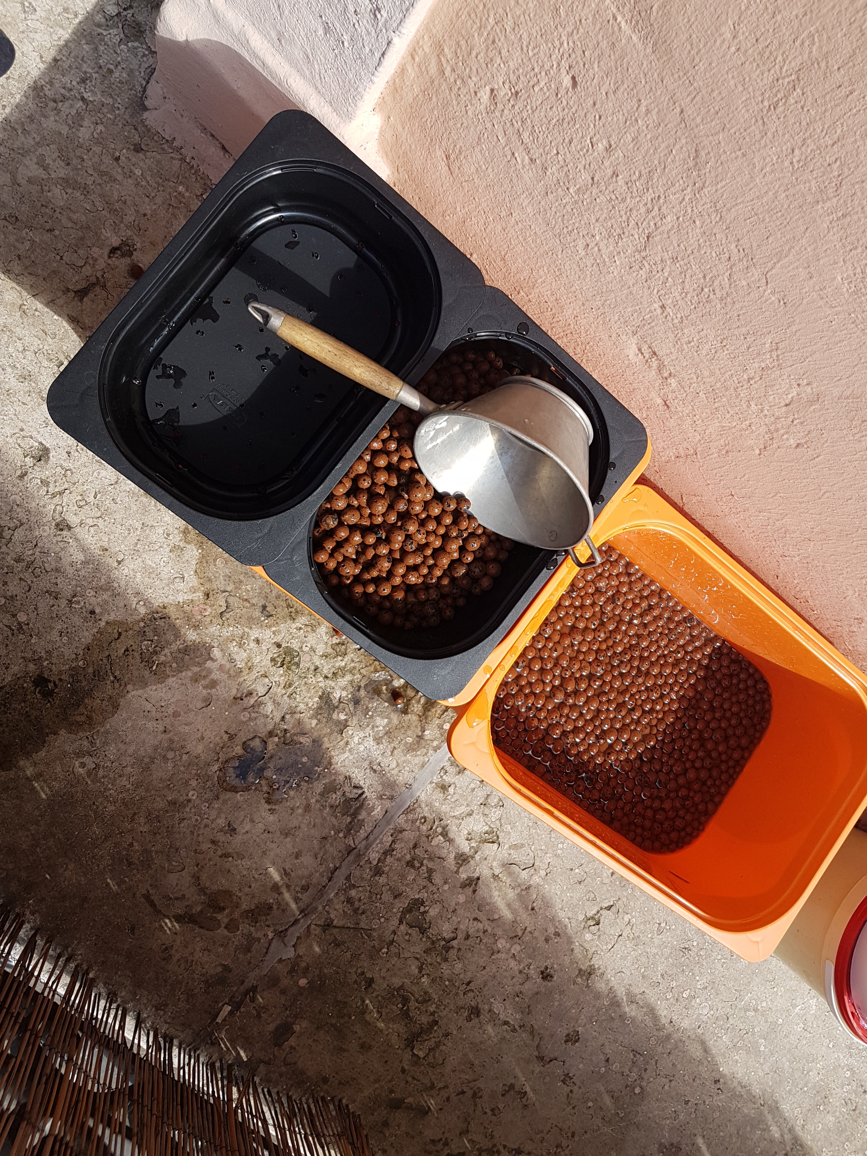 First Timer Hydroponics: DWC System : 9 Steps (with Pictures ...