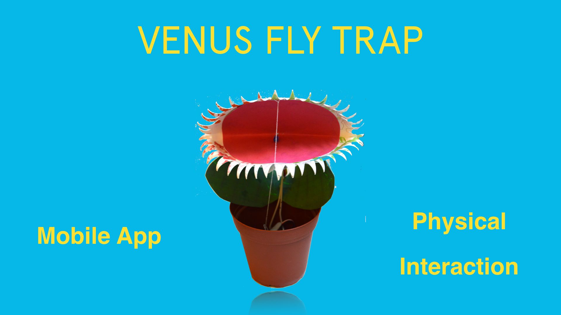 Venus Fly Trap Toy Powered by Intel Edison : 11 Steps (with Pictures ...