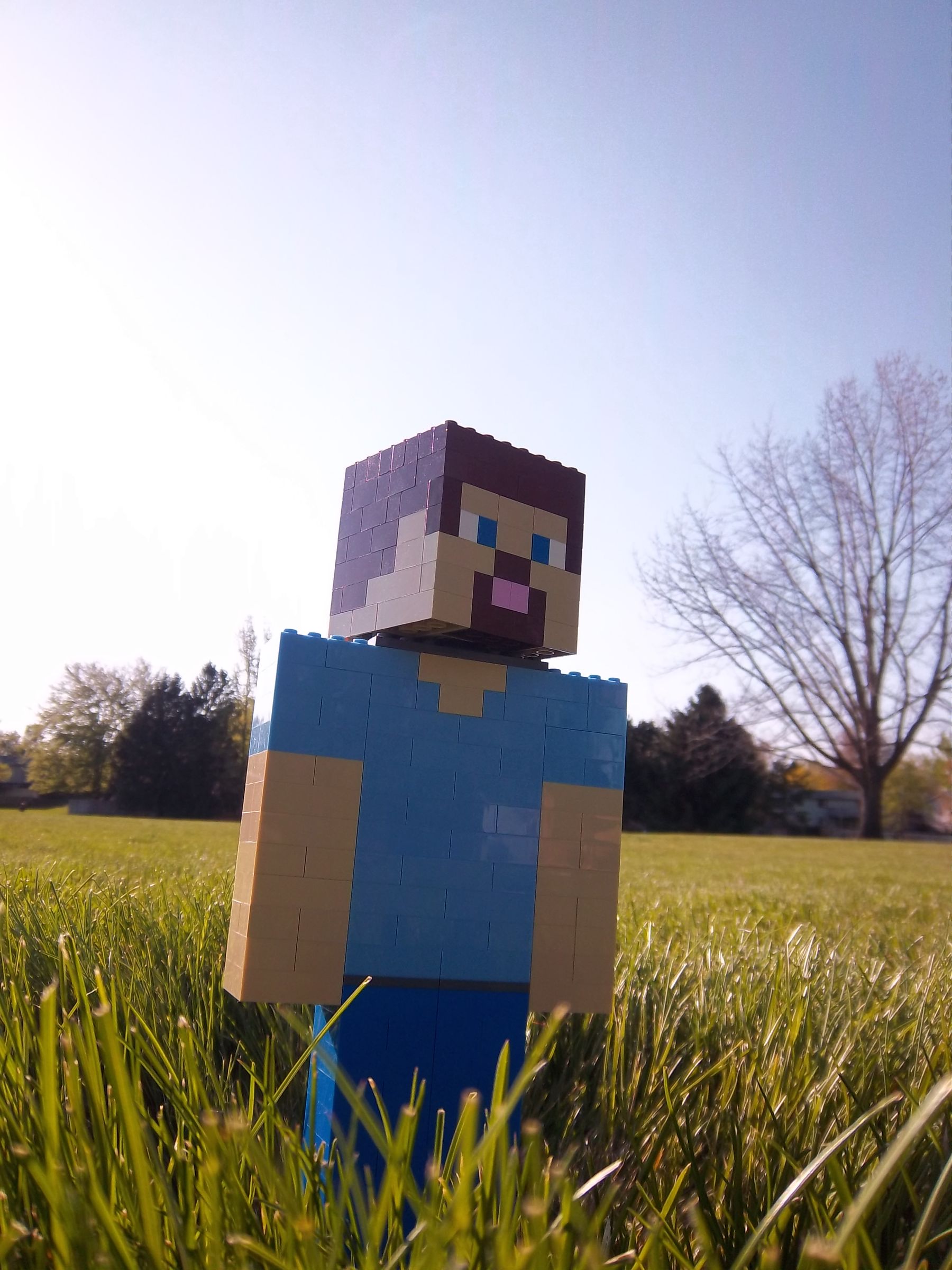 LEGO Minecraft Steve Skin (with Pictures) - Instructables