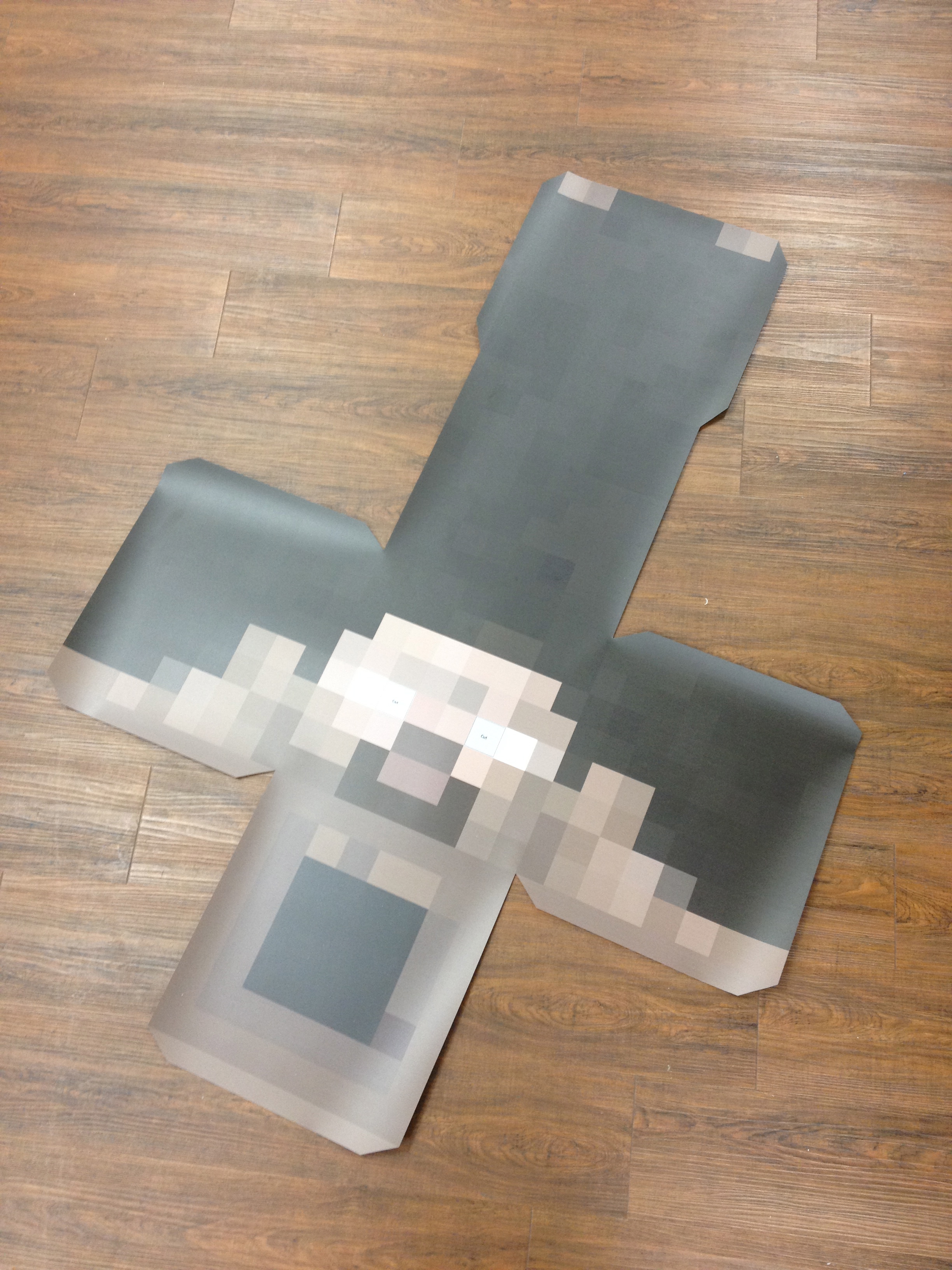 Minecraft Steve Stable Head Build : 10 Steps - Instructables