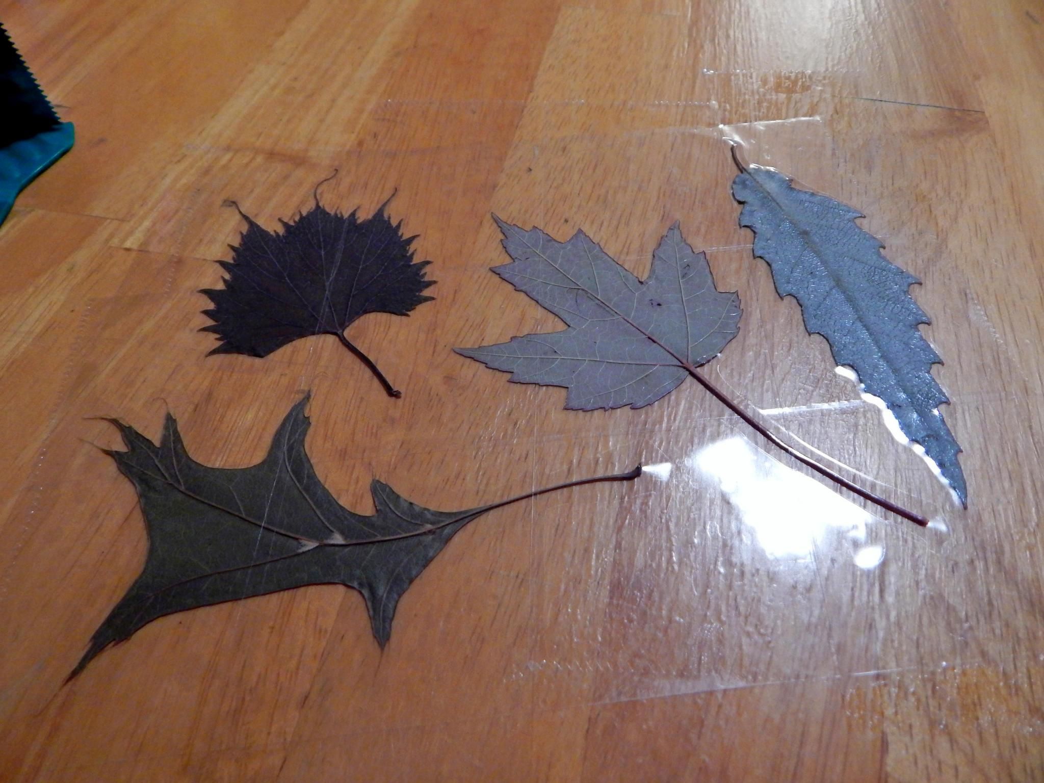 DIY Laminated Leaf Bookmarks : 4 Steps (with Pictures) - Instructables