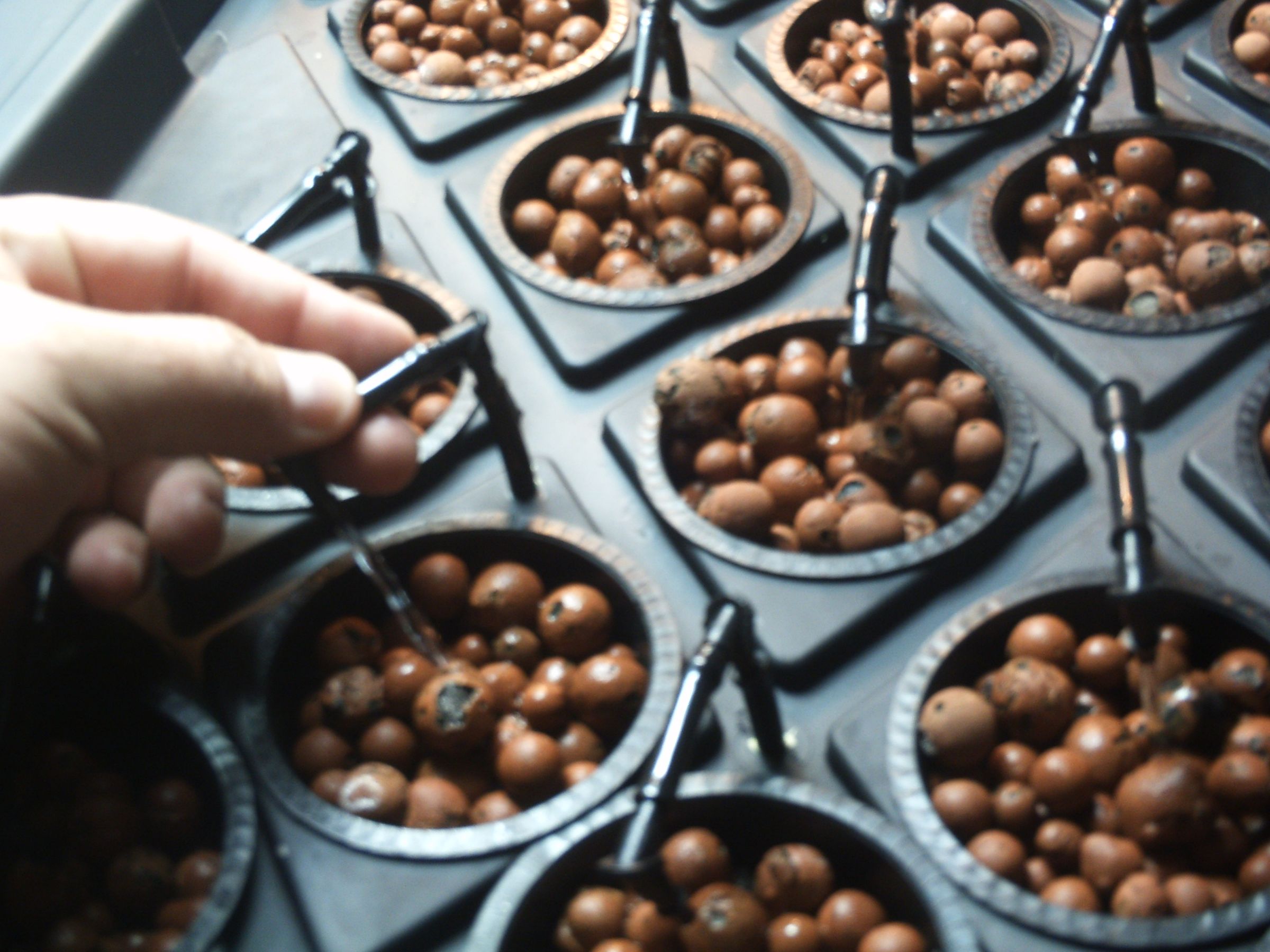 How to Build a Home Hydroponics System : 8 Steps (with Pictures ...