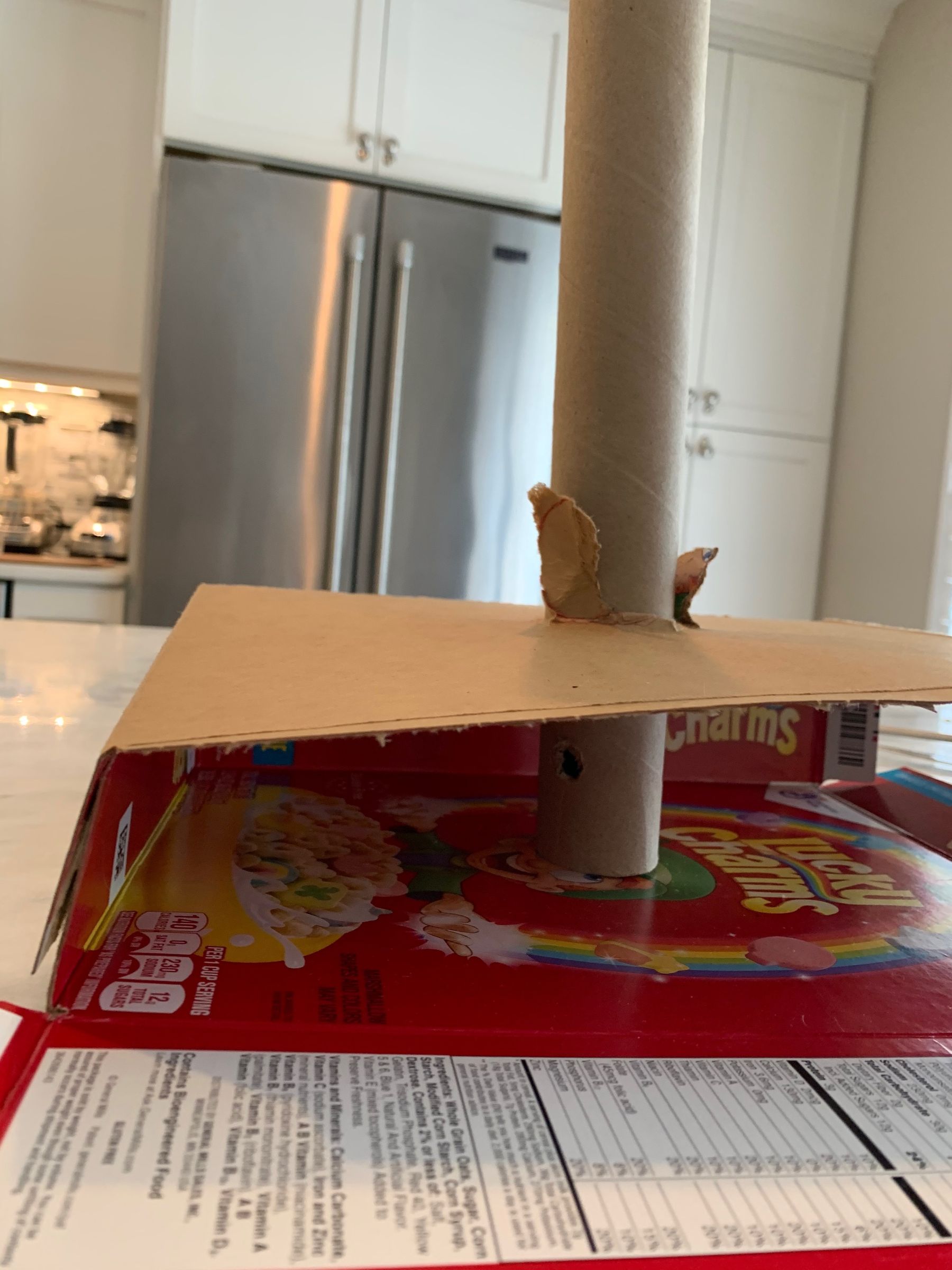 Cardboard Bug Catching Device. : 5 Steps - Instructables