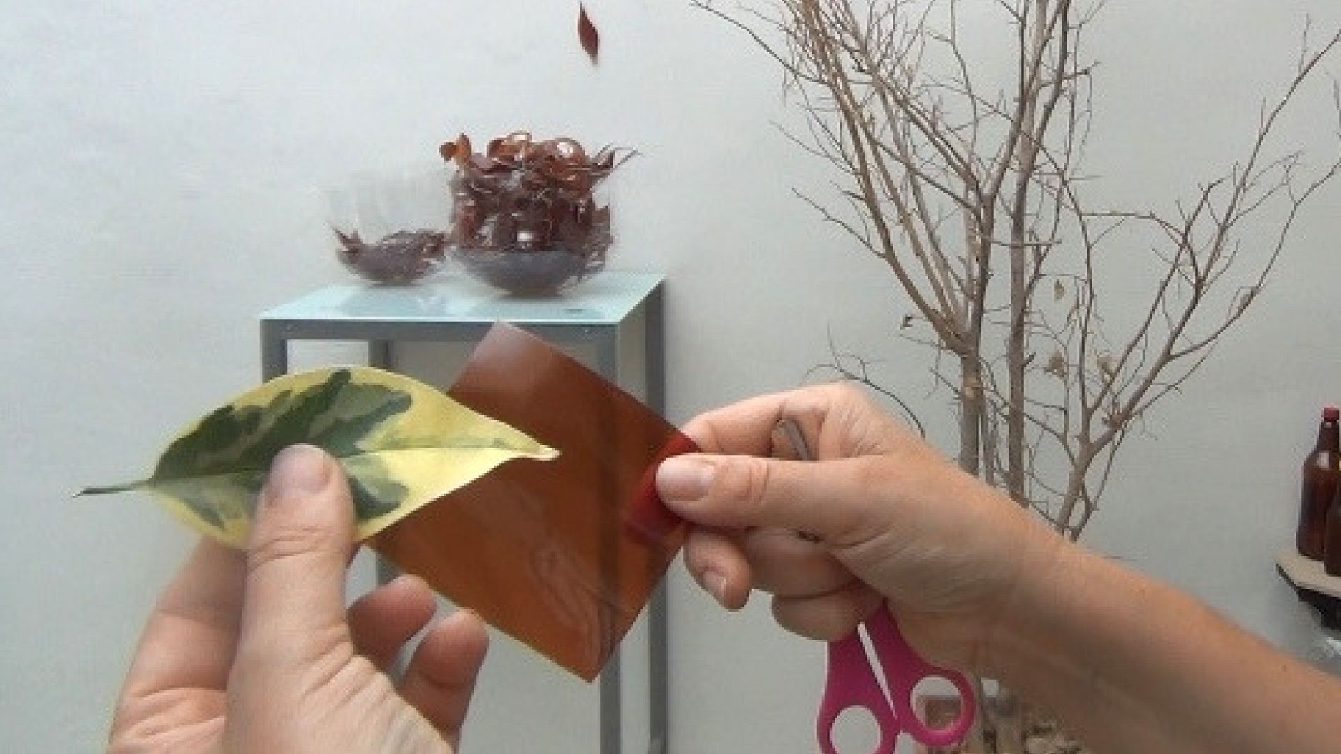 Tree Made Out of Recycled Plastic Bottles : 7 Steps (with Pictures ...