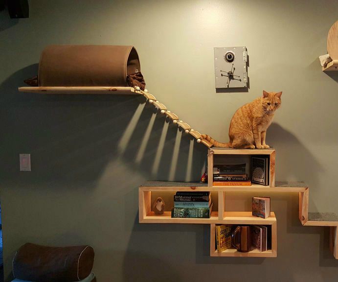 Cat Adventure and Escape Wall : 12 Steps (with Pictures) - Instructables