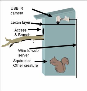 Squirrel Nest Camera : 4 Steps (with Pictures) - Instructables