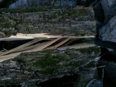 Splitting Black Locust Logs With Wedges : 7 Steps (with Pictures ...