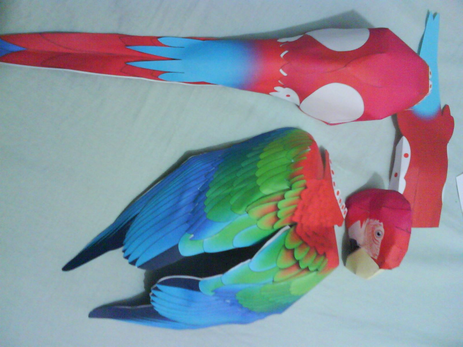 Animatronic Green-Winged Macaw Papercraft : 4 Steps (with Pictures ...