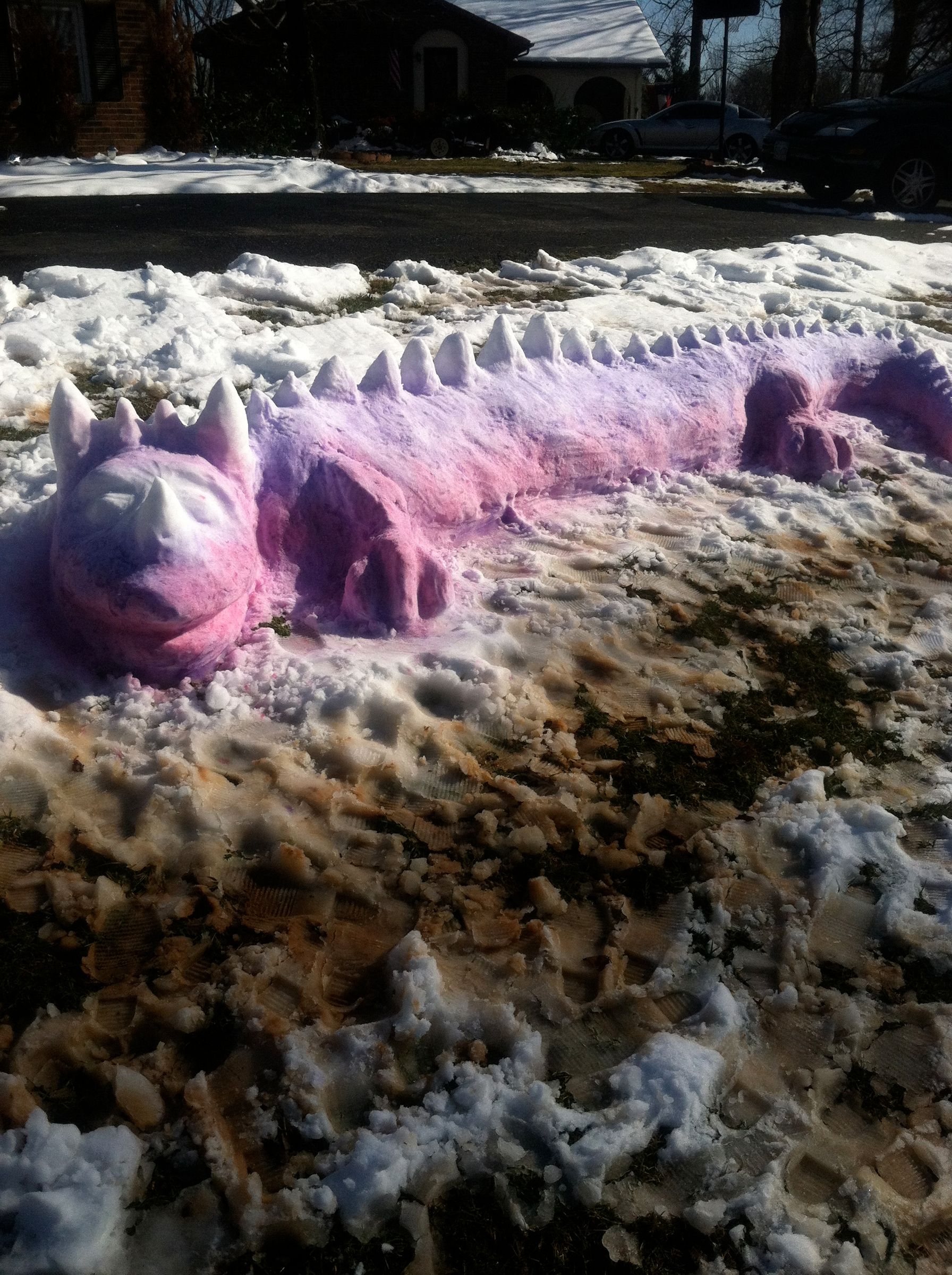 How to Create a Colorful Snow Dragon : 3 Steps - Instructables