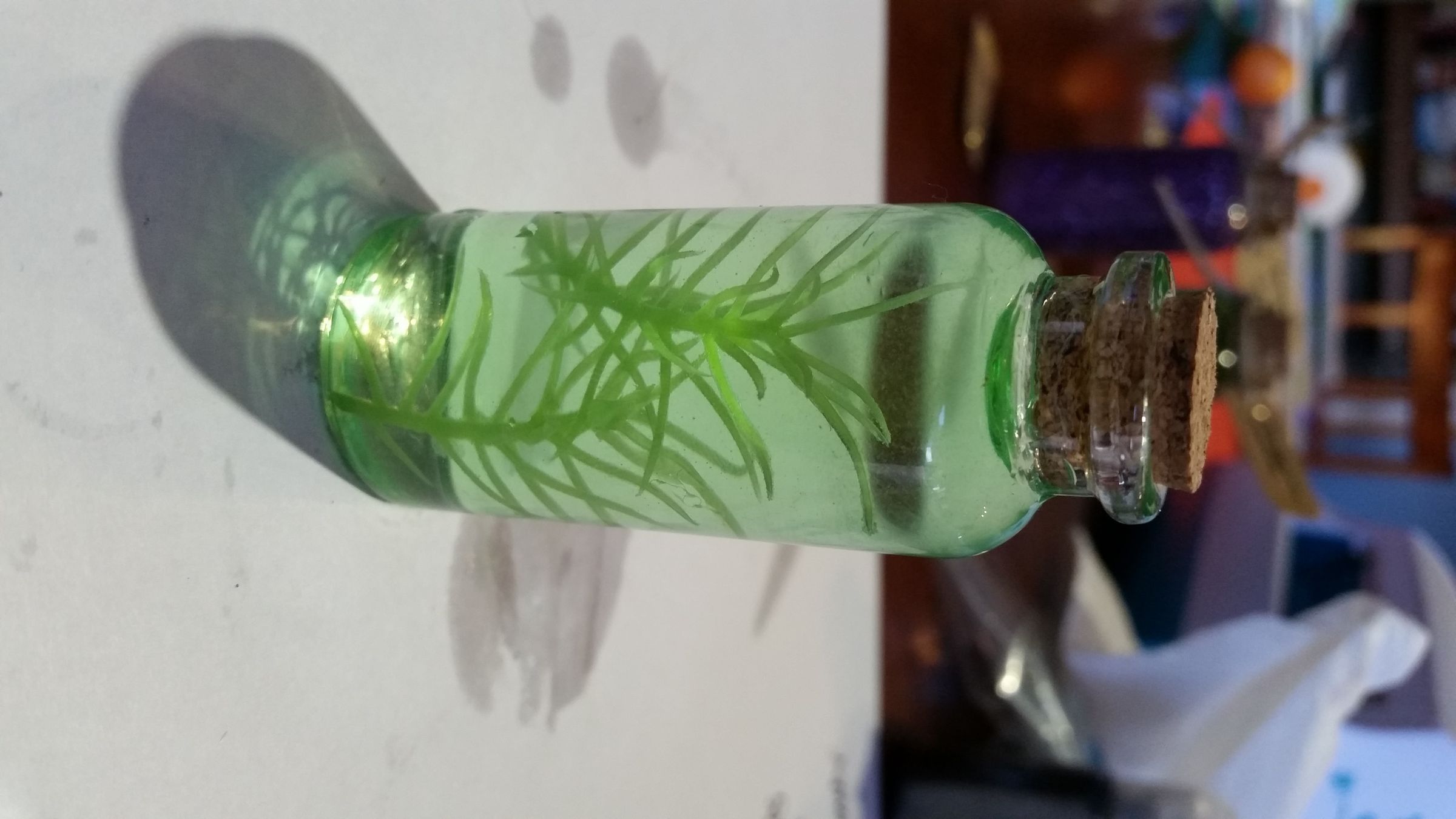 Harry Potter Potions : 17 Steps (with Pictures) - Instructables