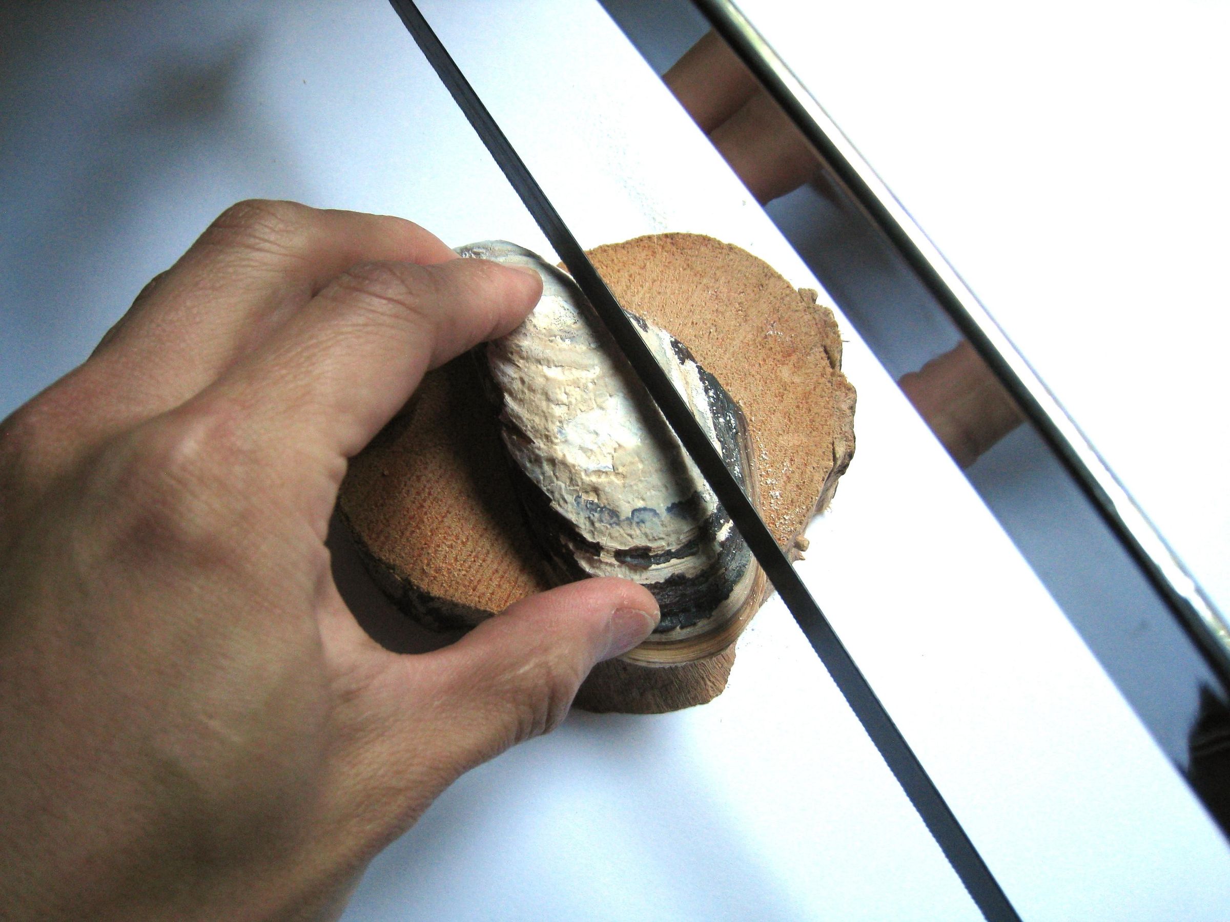 Chinese Soup Spoon Making Out of Mussel : 6 Steps - Instructables