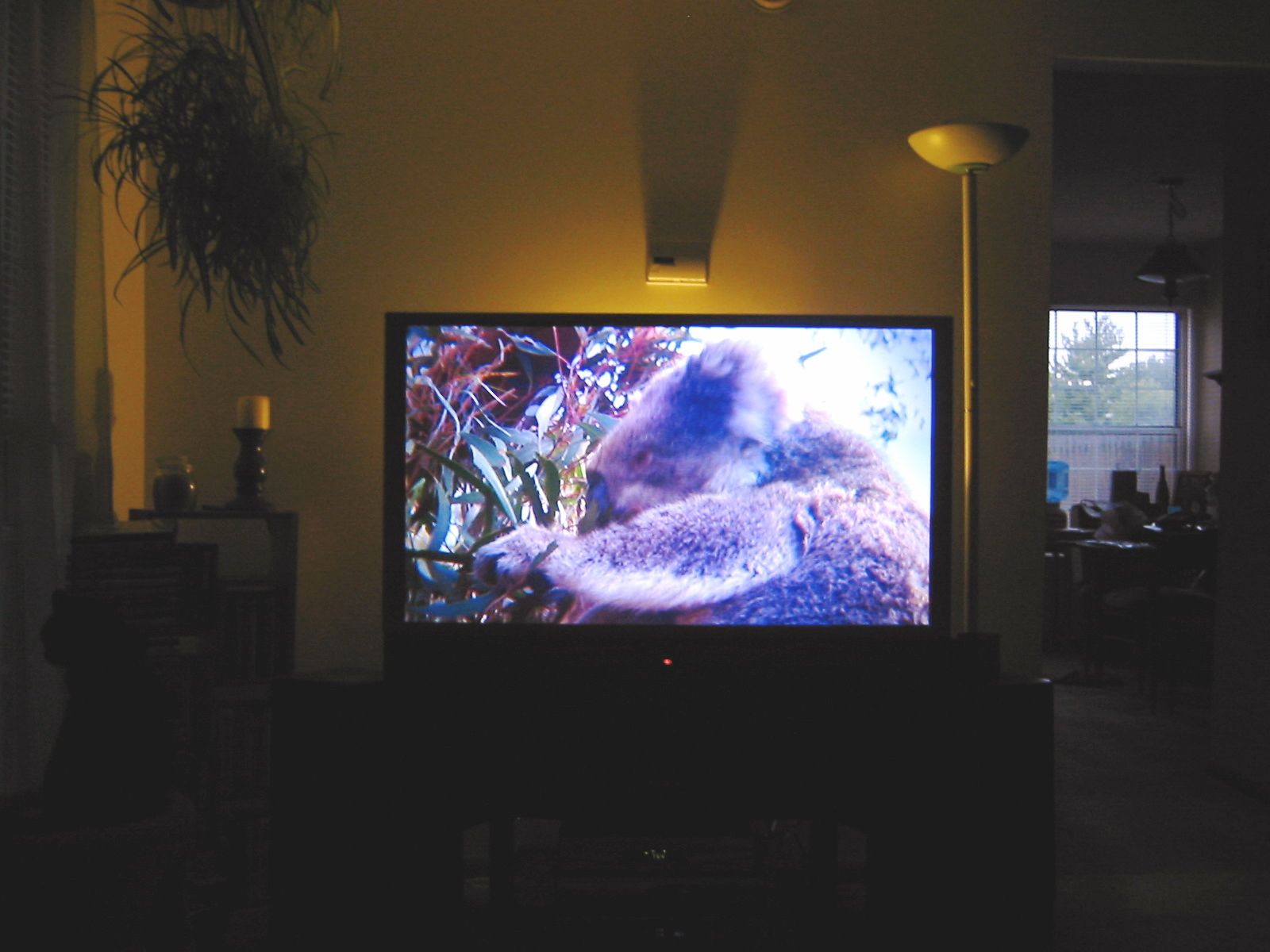 Biased Lighting for Your Big Screen Tv : 6 Steps - Instructables