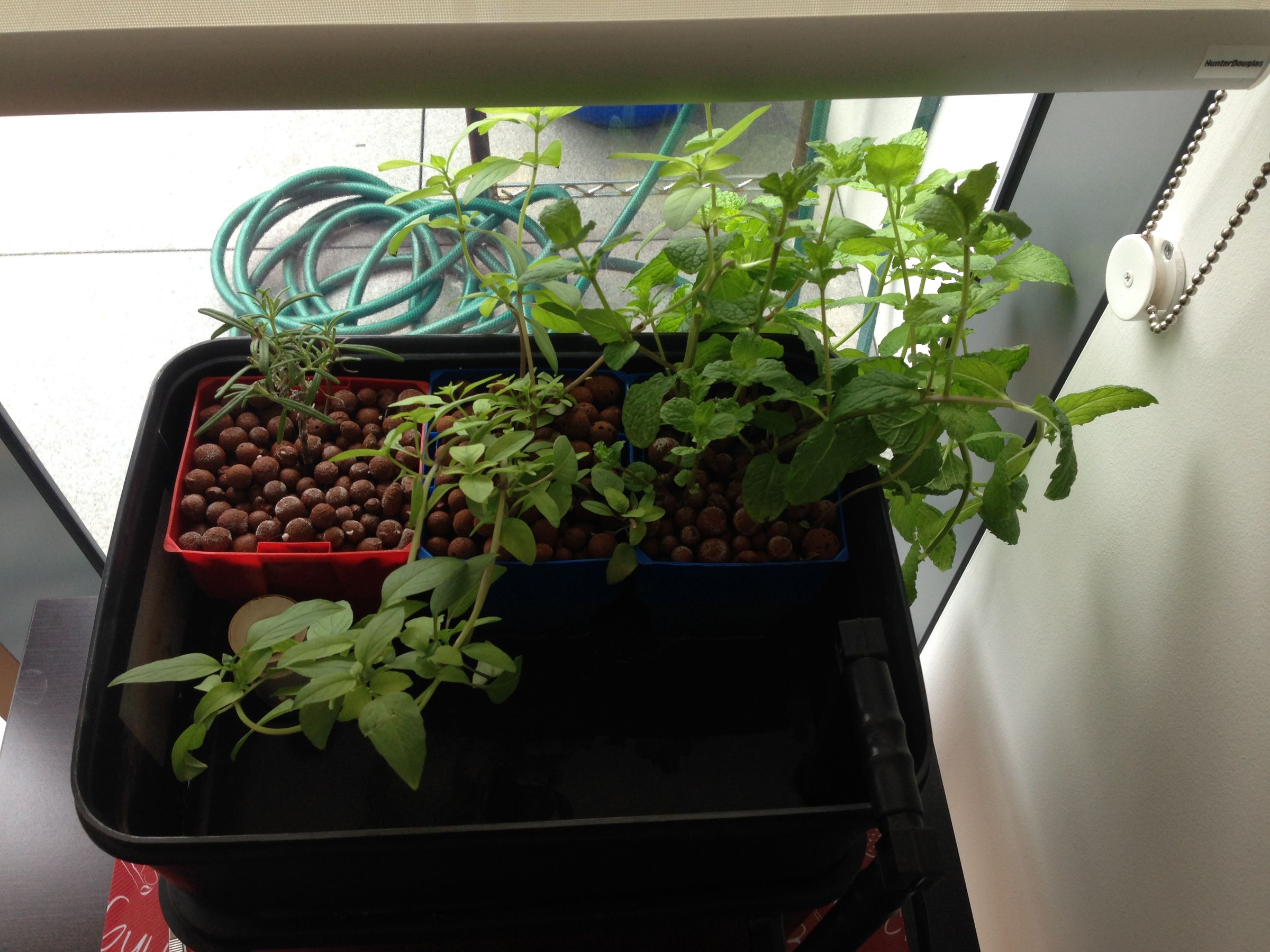 Mini Hydroponics Herb Garden V2.0 : 3 Steps - Instructables