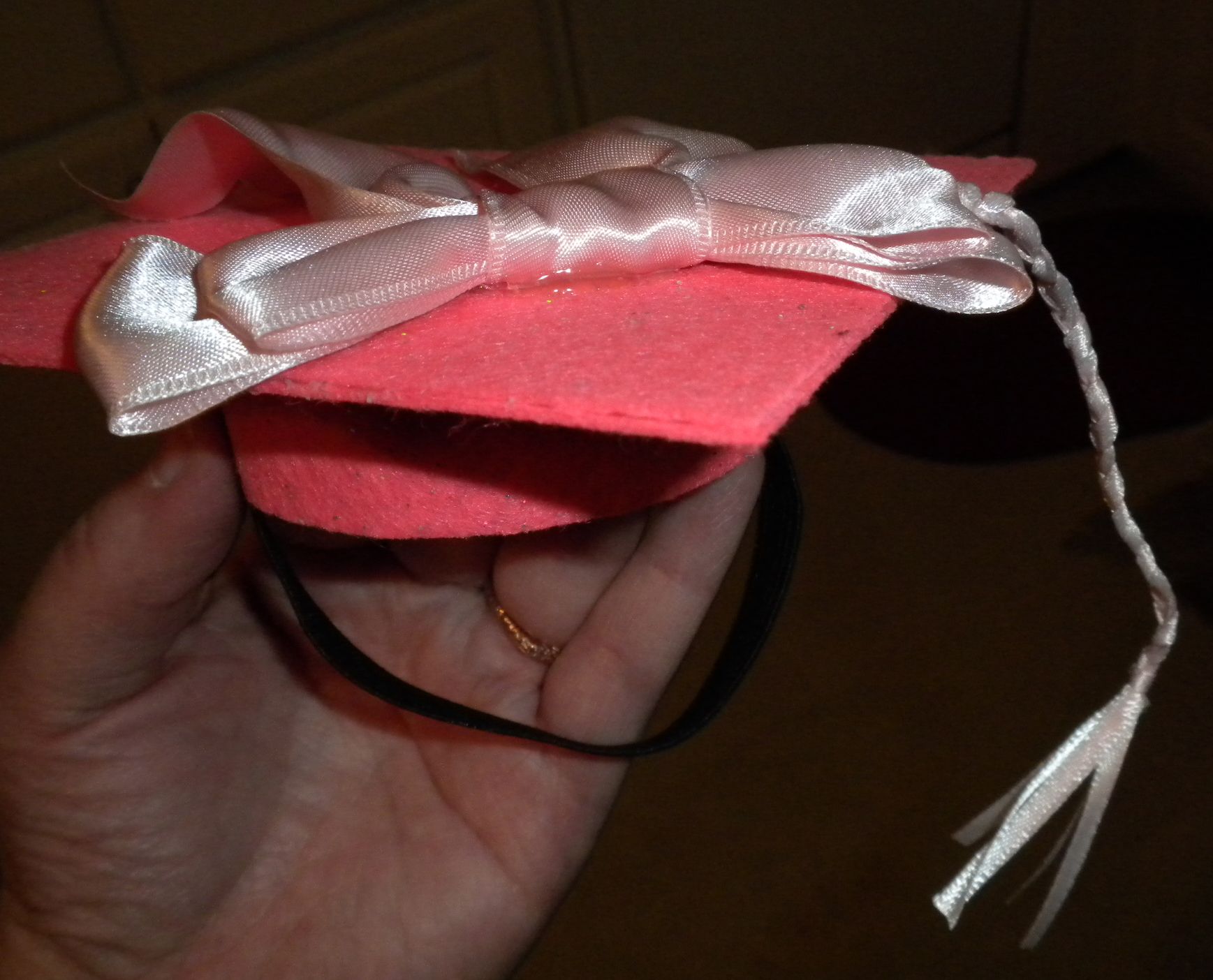 Pet Graduation Caps! : 4 Steps (with Pictures) - Instructables