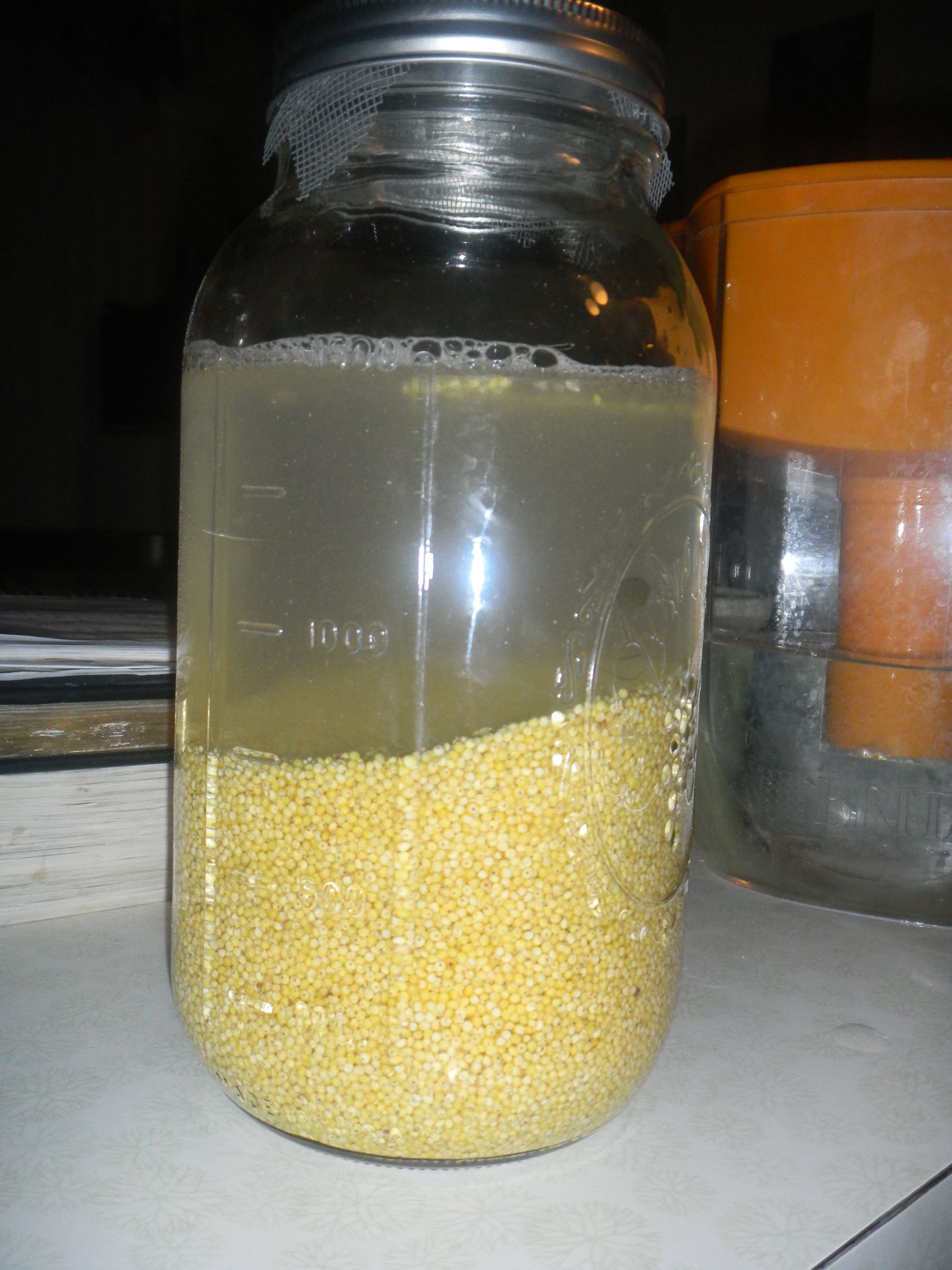 Sprout Quinoa : 4 Steps (with Pictures) - Instructables