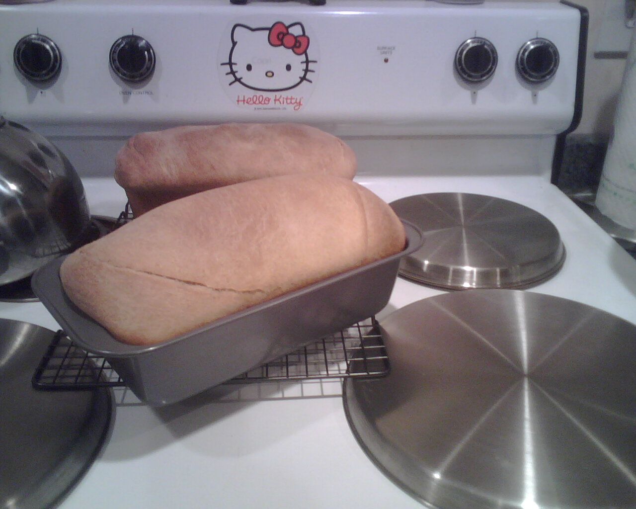 Hello Bread : 8 Steps - Instructables