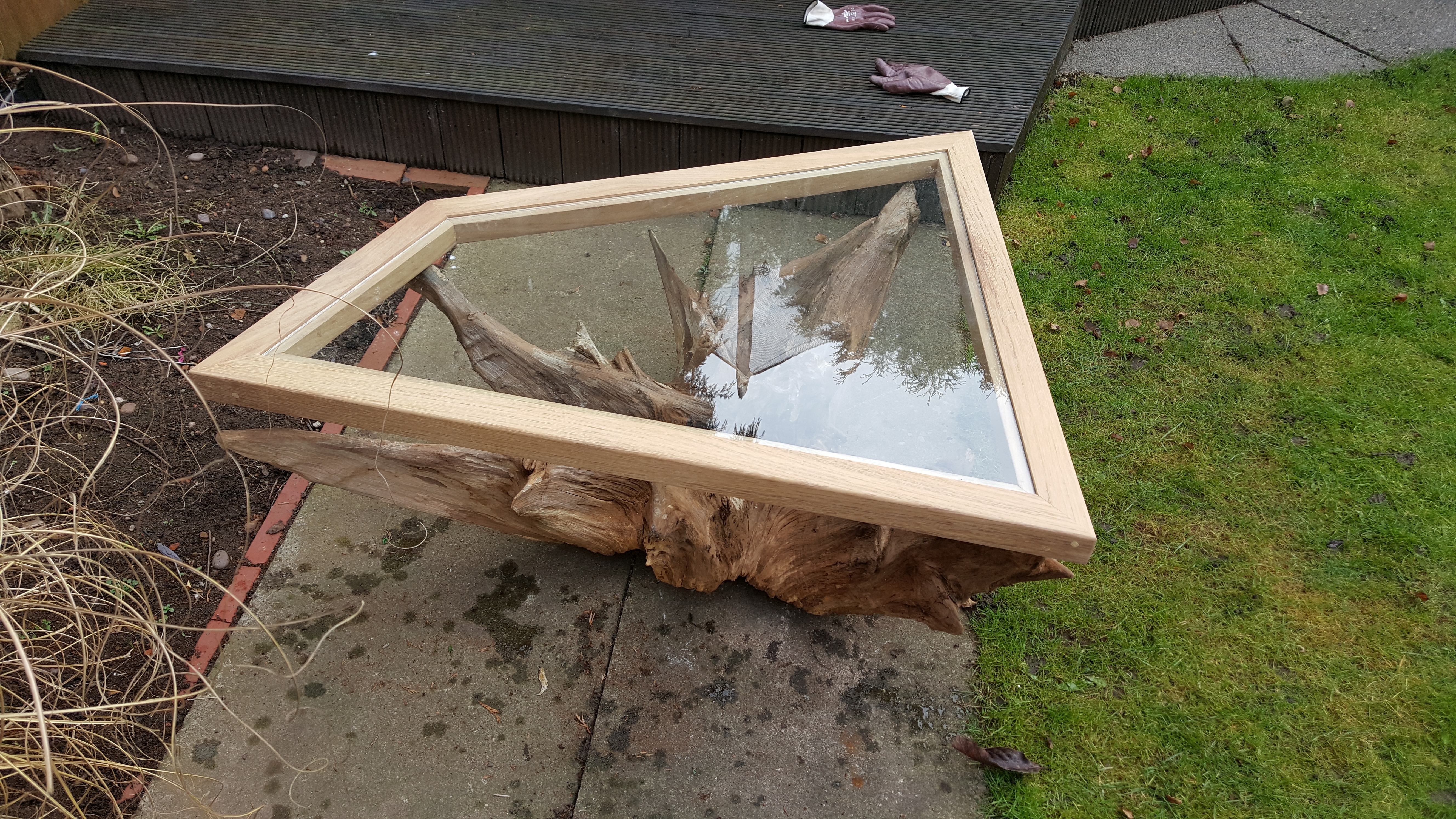 Tree Root Table With Custom Glass Top and Underlight : 10 Steps (with ...