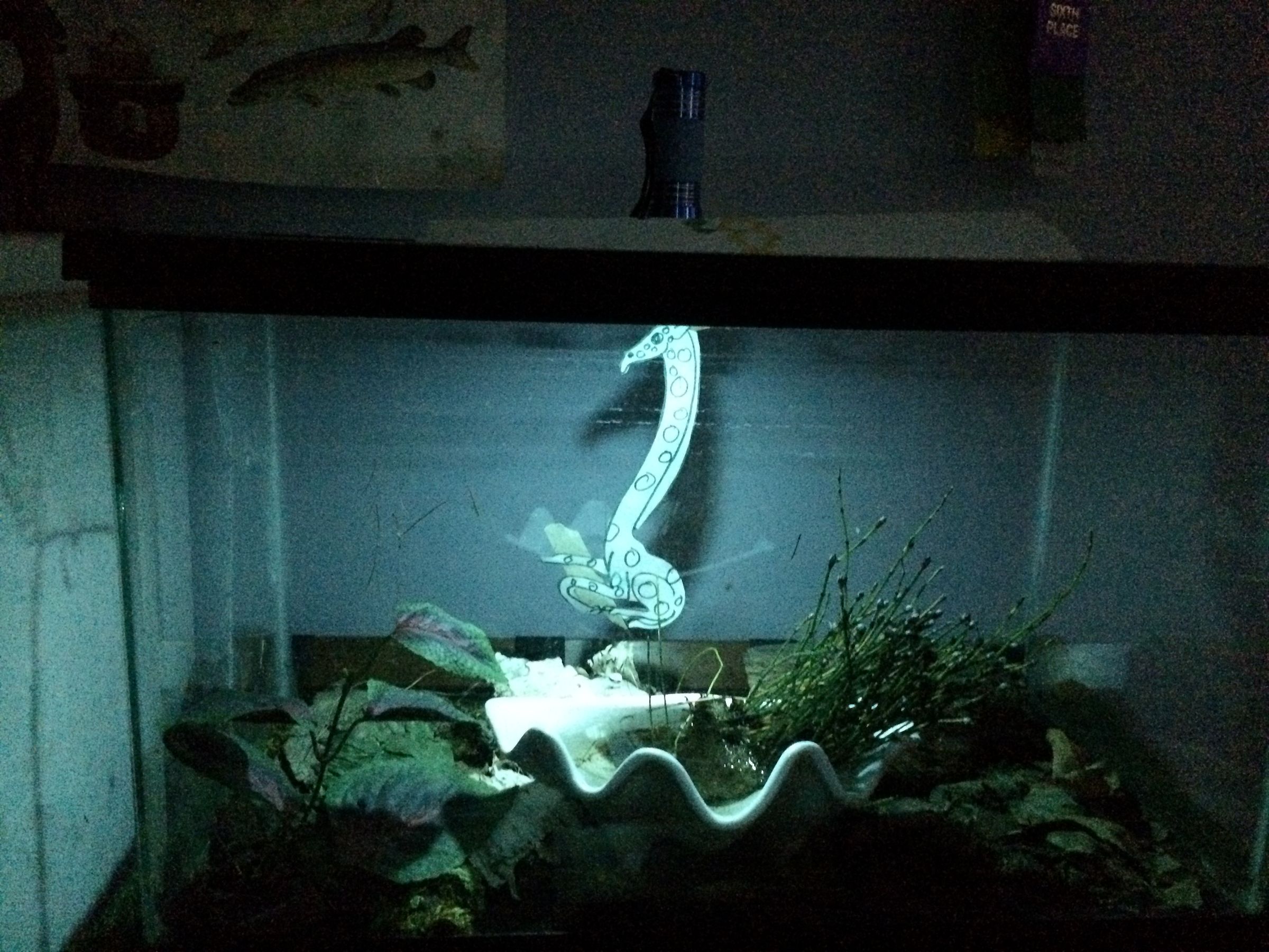 DIY AQUARIUM LIGHT, SIMPLE - Instructables
