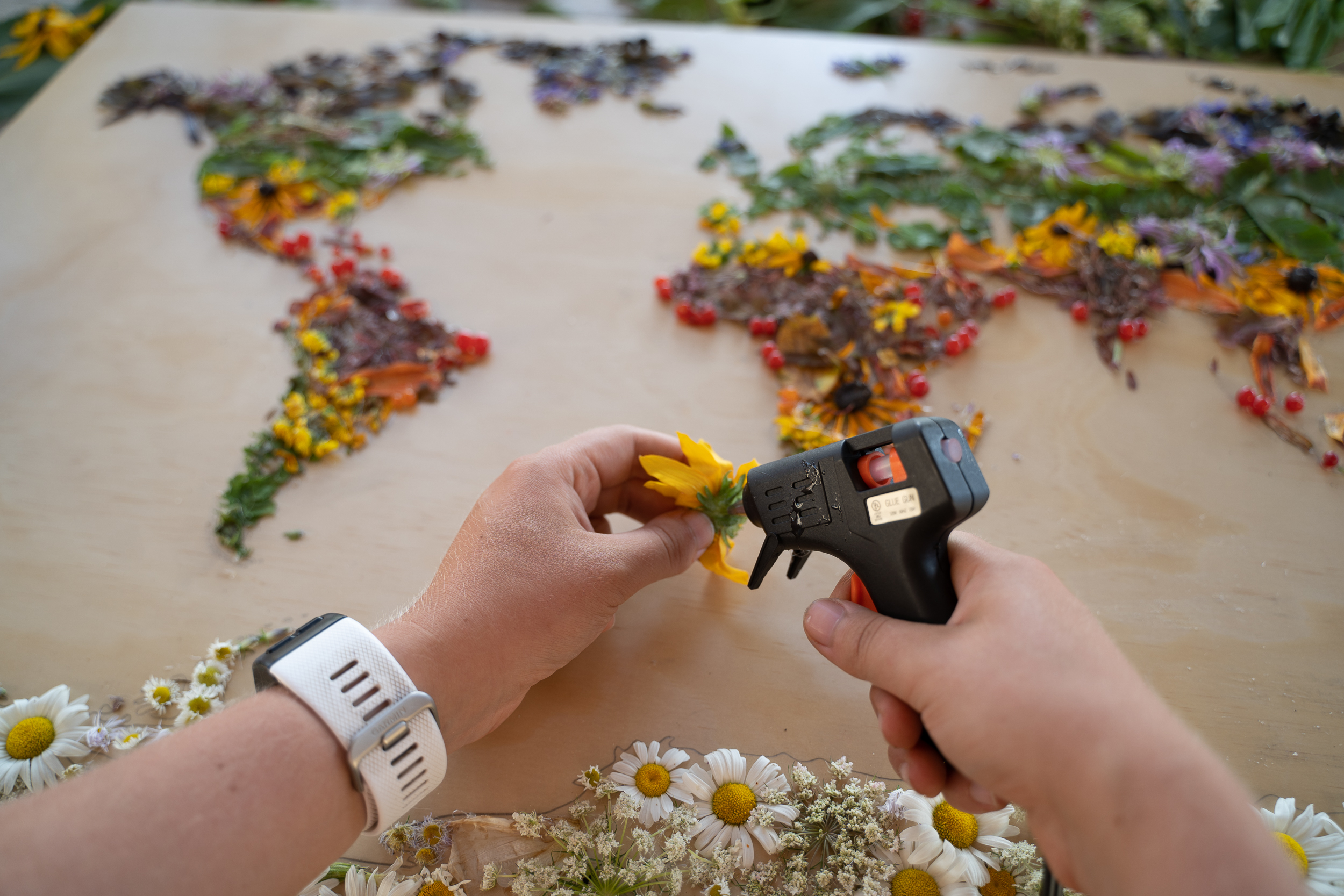 Creating a Map With Flowers + Constructing Your Own Artistic Style : 5 ...