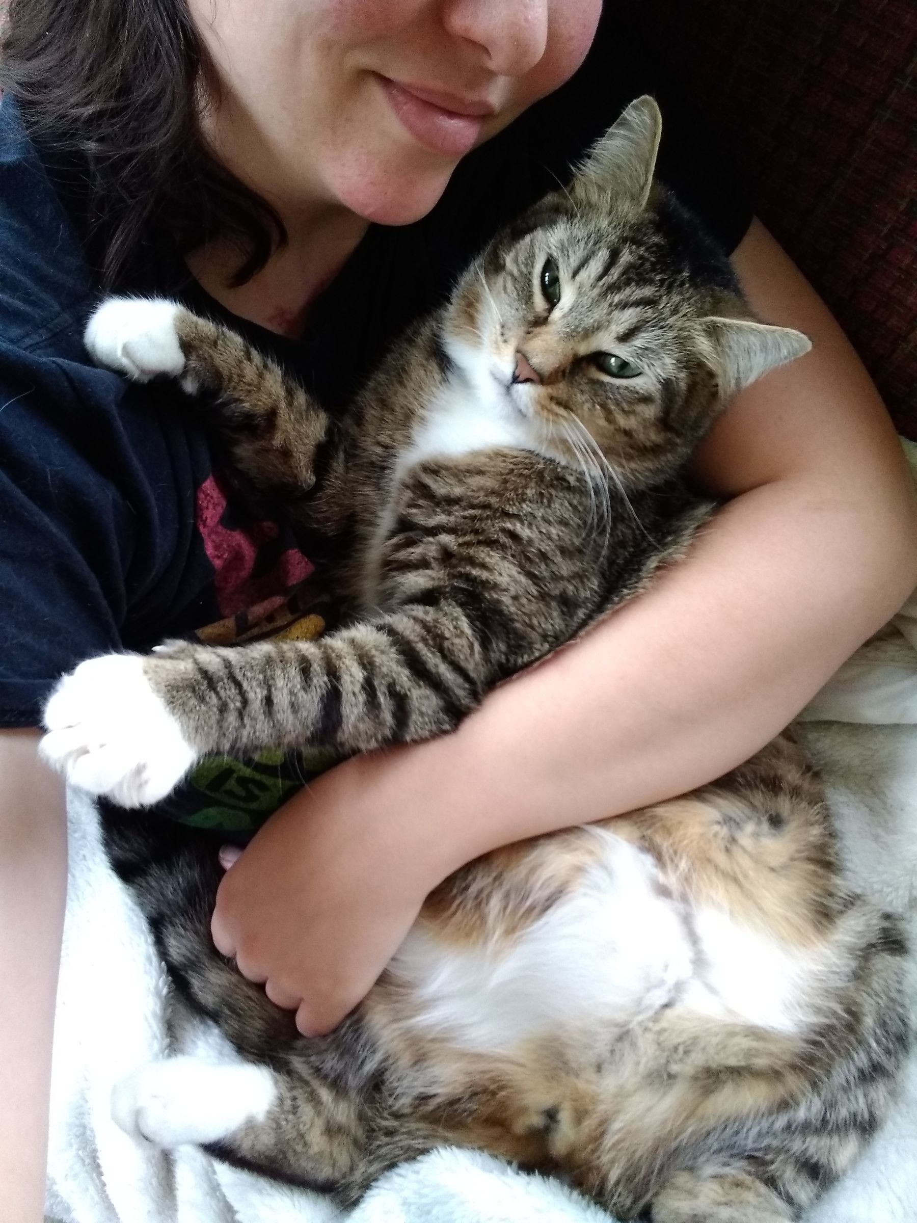 How To: Lull Your Cat to Sleep : 14 Steps (with Pictures) - Instructables