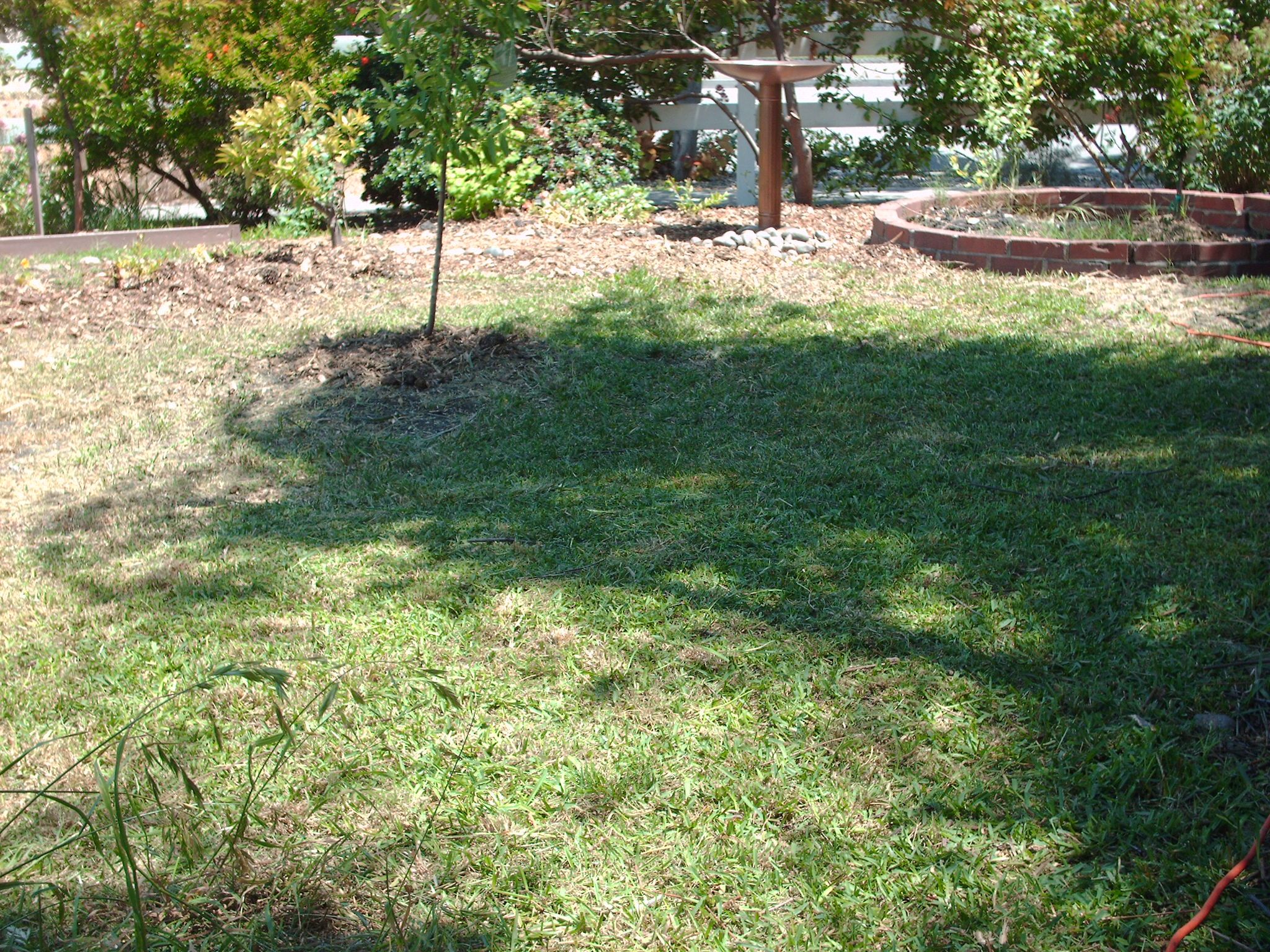 Drought Tolerant Front Yard - Converting Lawn to Soil : 8 Steps (with ...