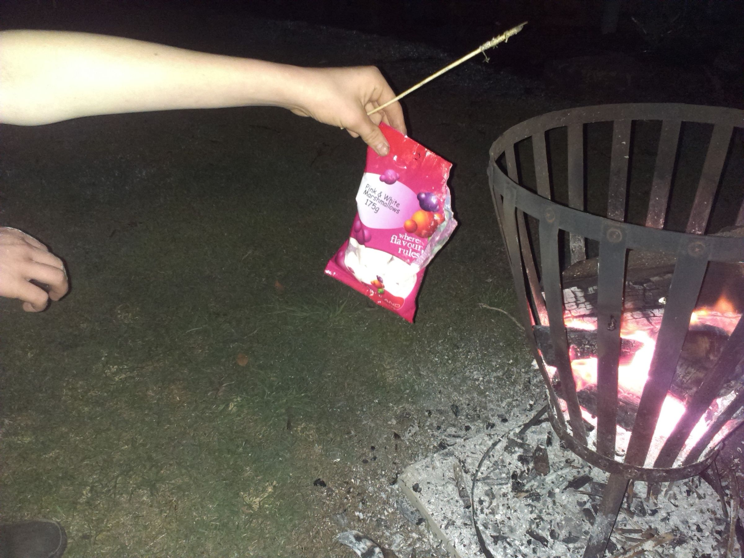 How to Cook a Marsh Mallow on a Camp Fire : 4 Steps - Instructables