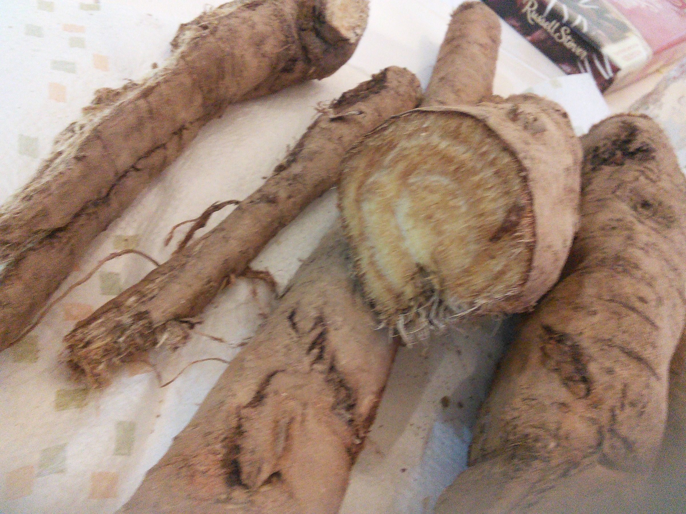 How to Extract Kudzu Starch : 11 Steps - Instructables