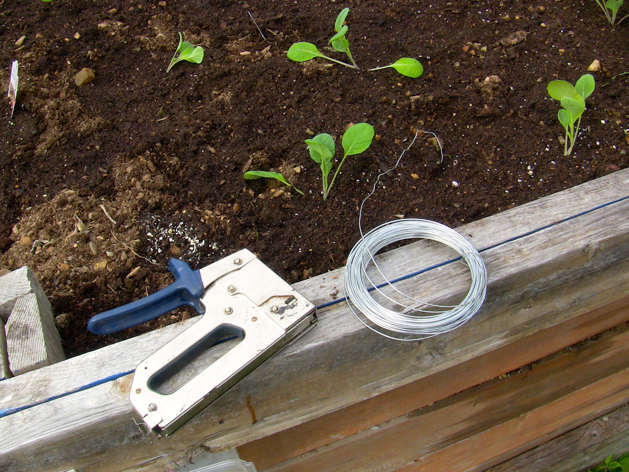 Electric Garden Slug Fence : 4 Steps (with Pictures) - Instructables