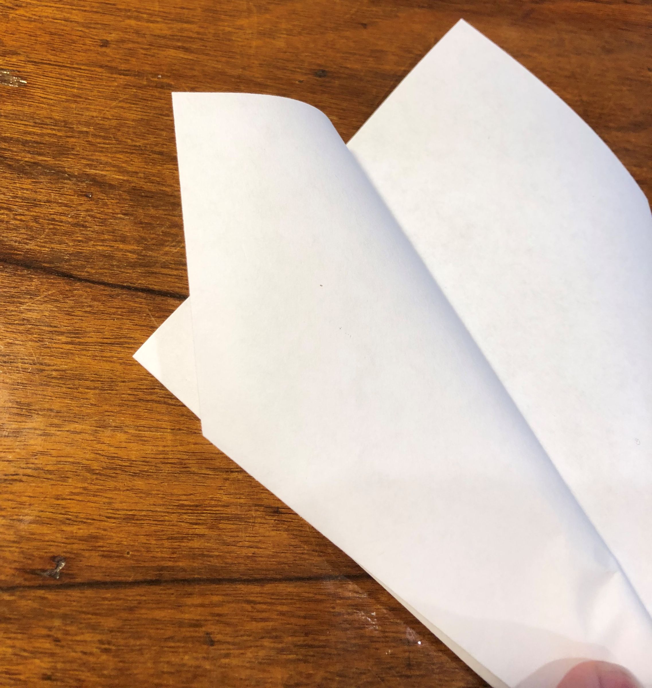 World Record Paper Plane : 10 Steps - Instructables