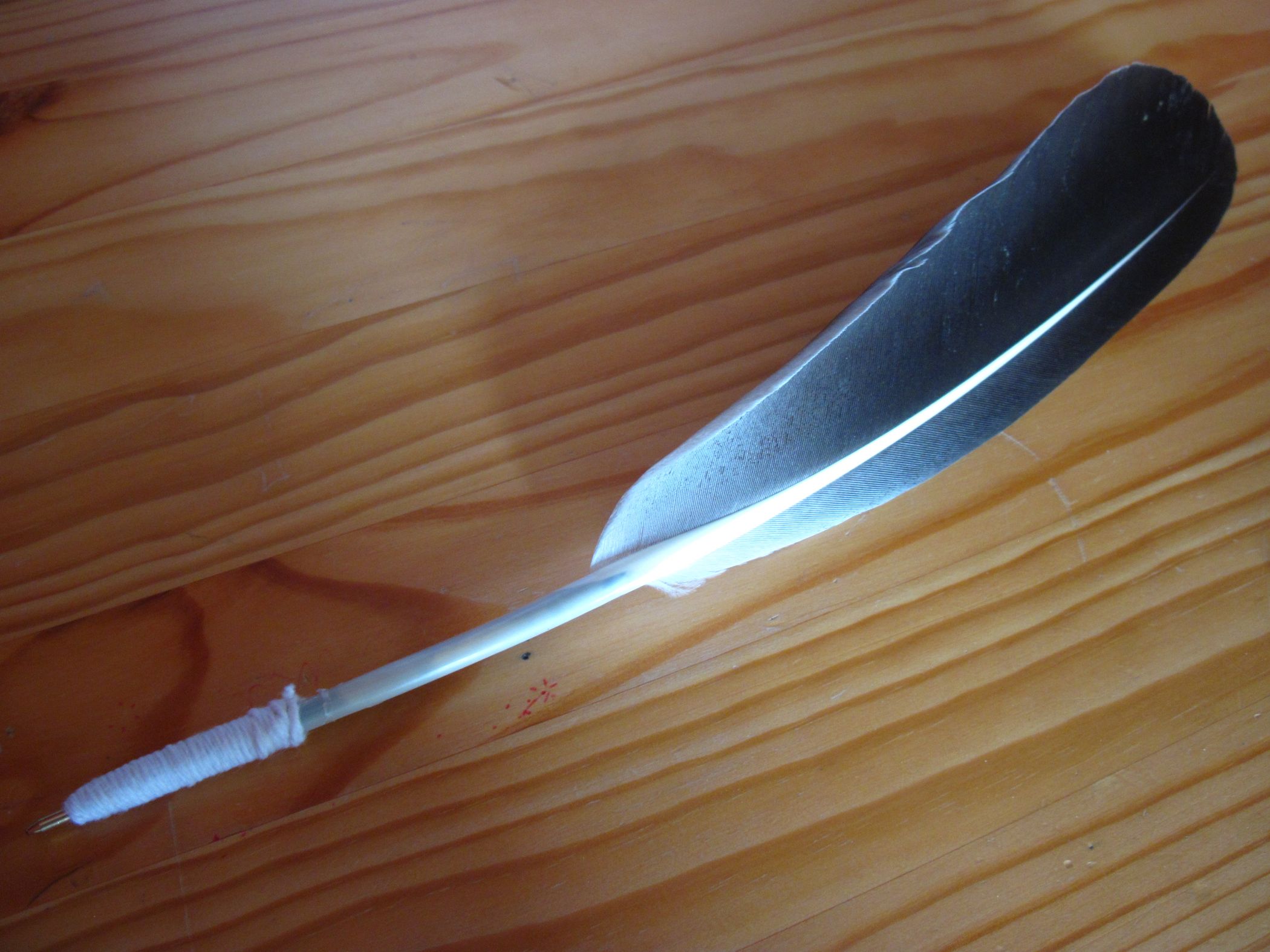 Feather Ballpoint Pen : 4 Steps - Instructables