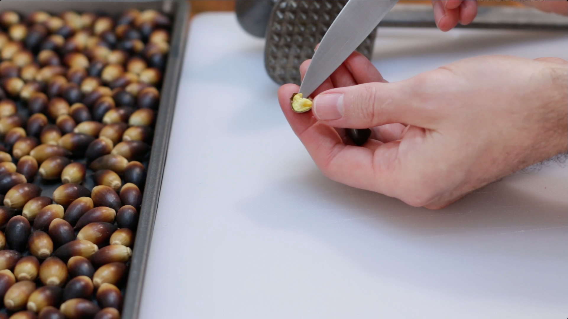 How to Process Acorns and Make Acorn Flour : 8 Steps (with Pictures ...