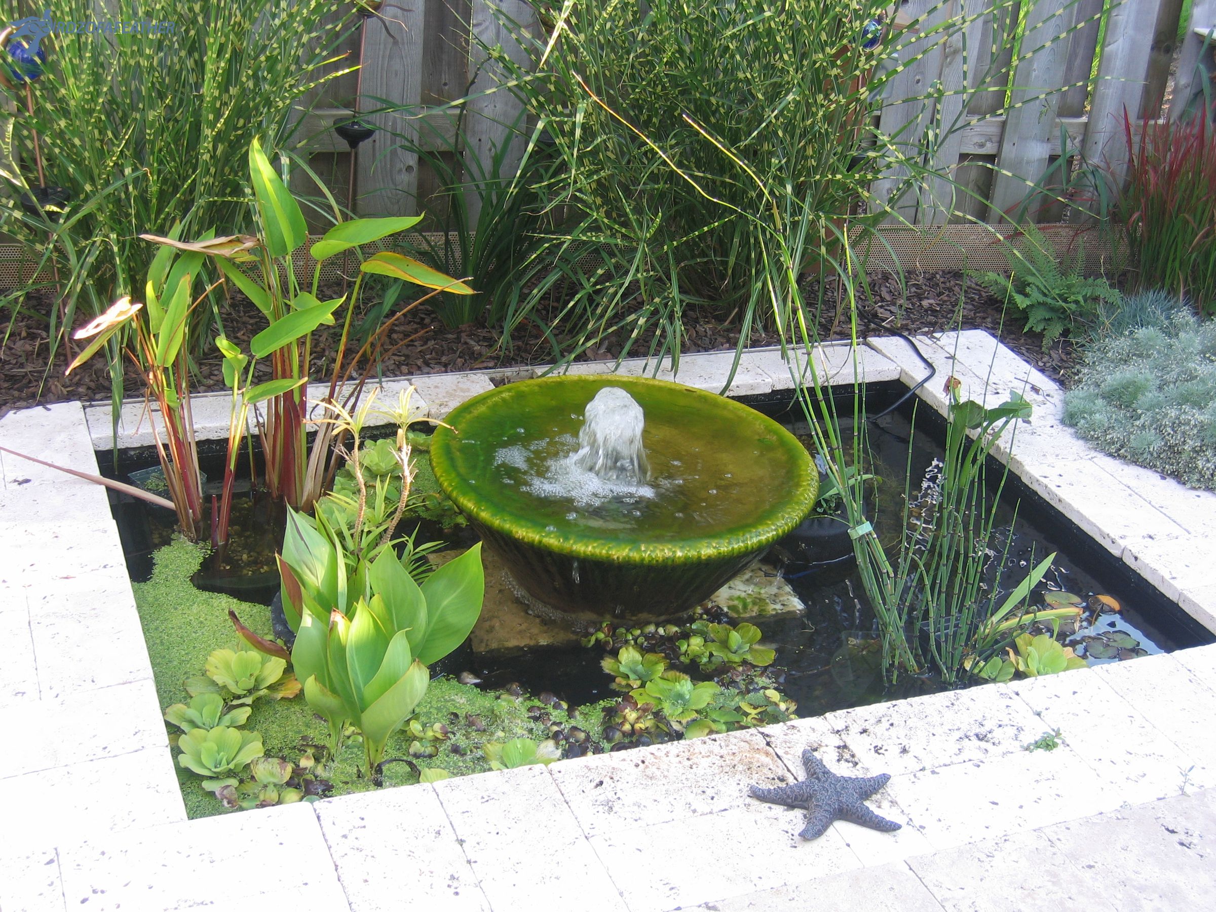 Create a Fountain That Floats on Water : 13 Steps (with Pictures ...