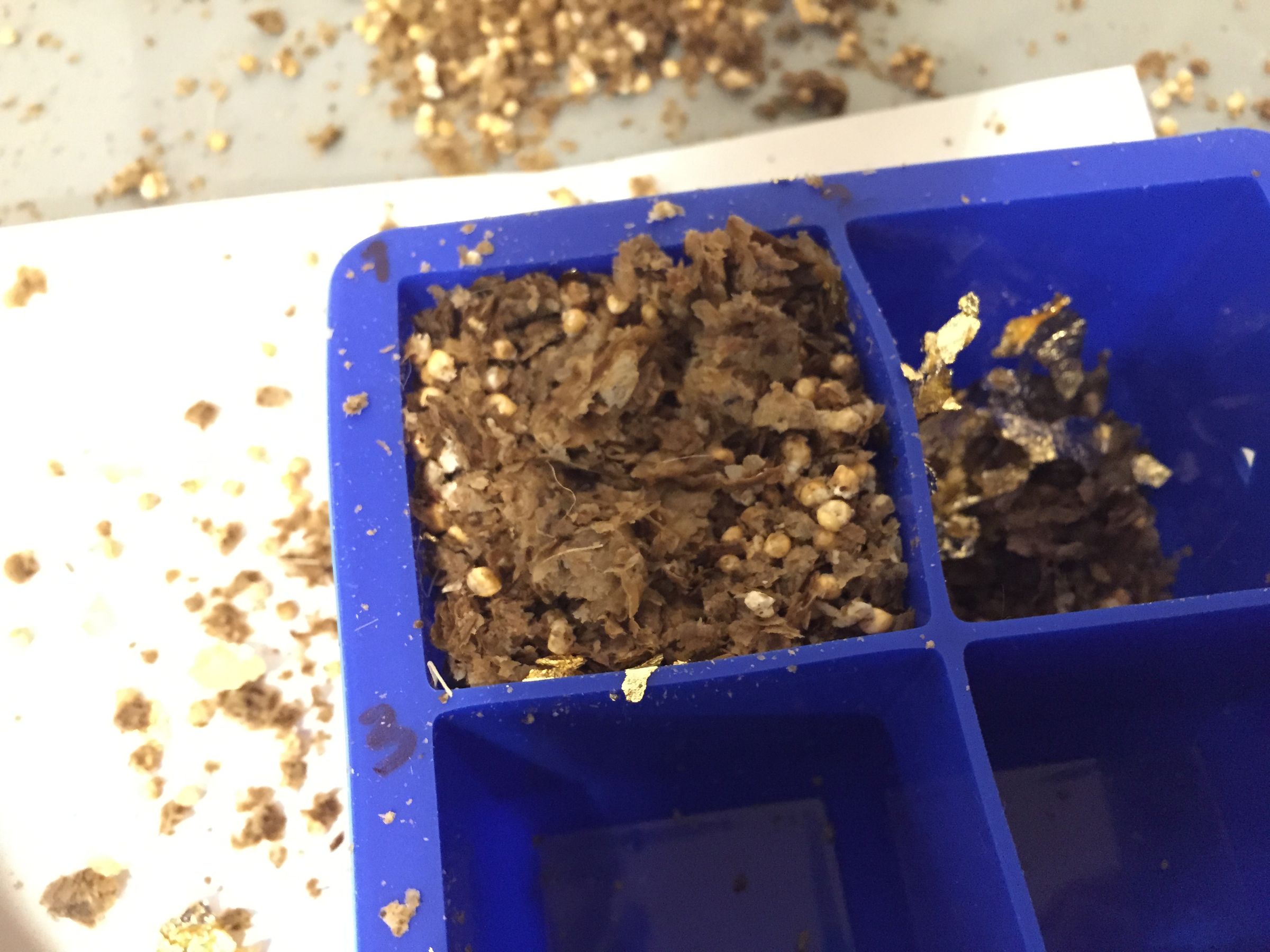 Mycelial Forms : 9 Steps (with Pictures) - Instructables