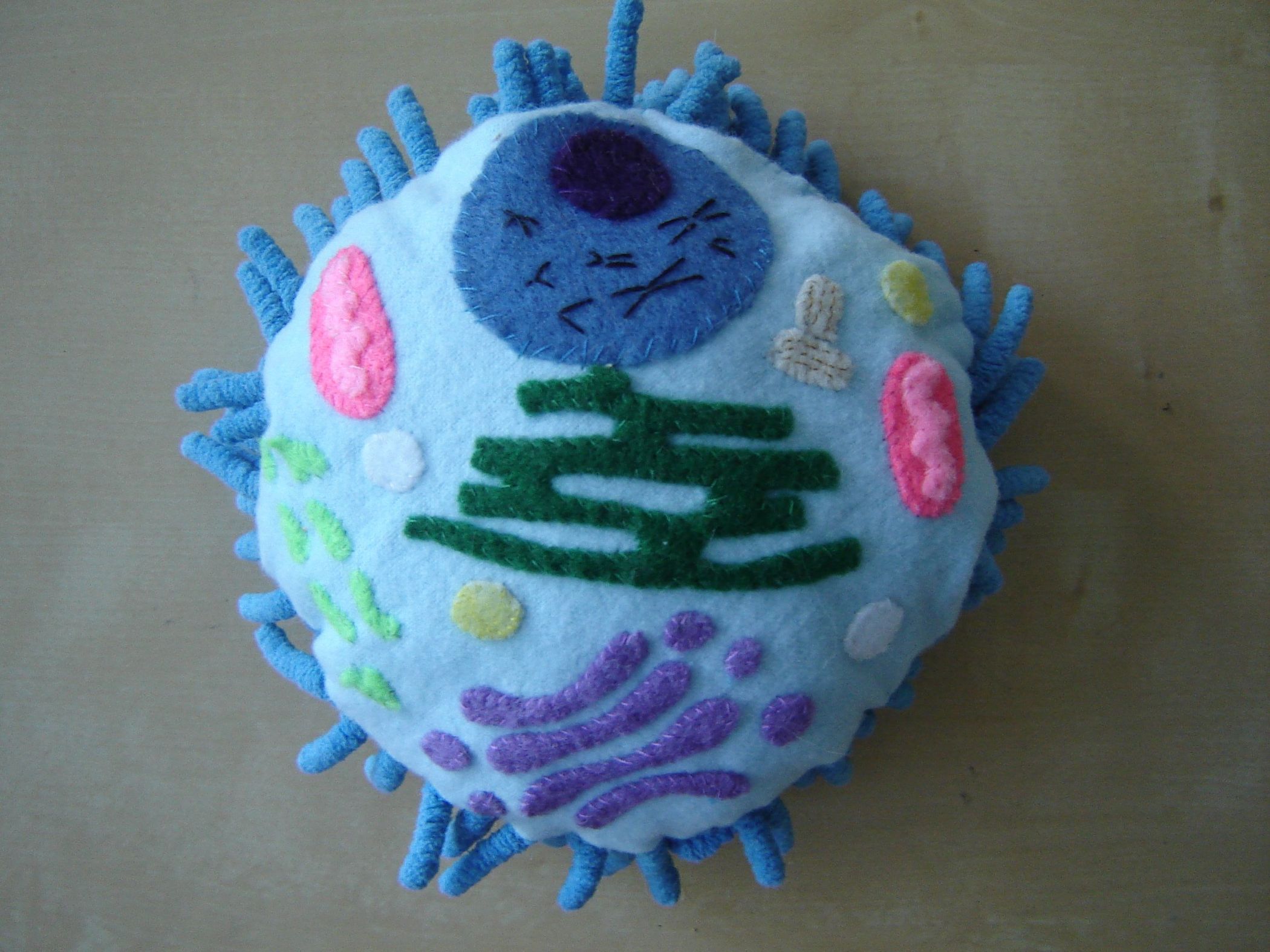 Plush Cell Model : 13 Steps (with Pictures) - Instructables