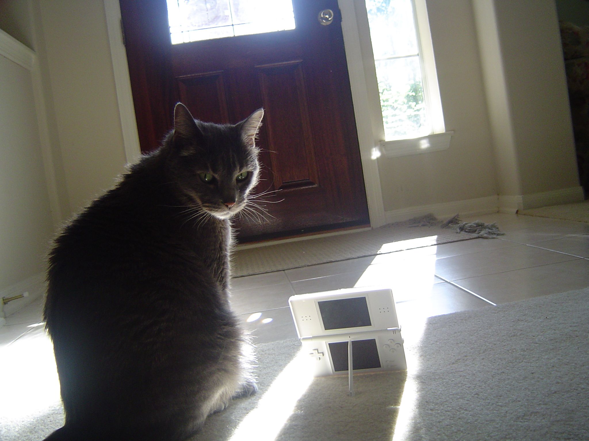 Solar DS "Light" Redone and Improved : 18 Steps (with Pictures ...